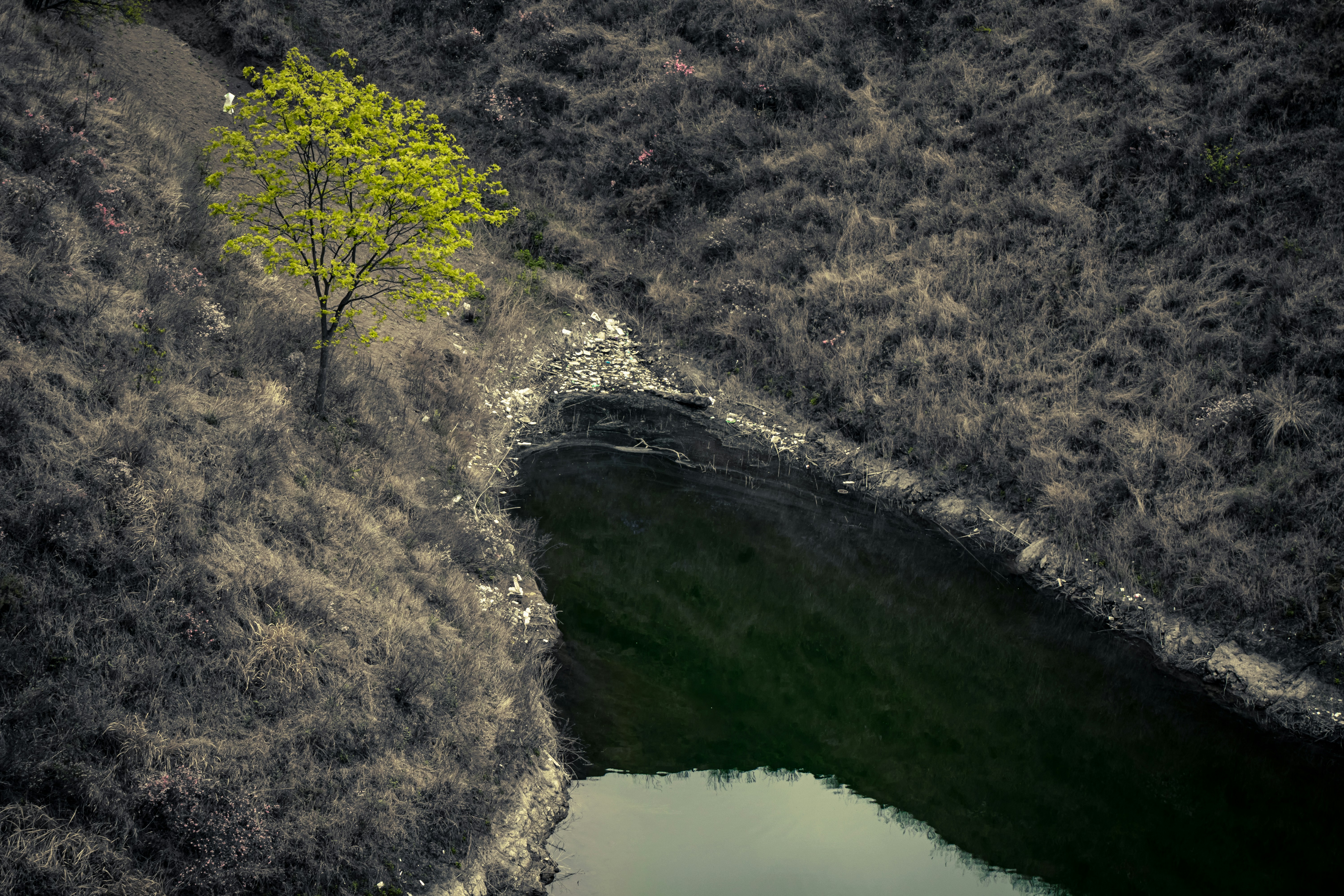 Anthropocene Pictures | Download Free Images on Unsplash