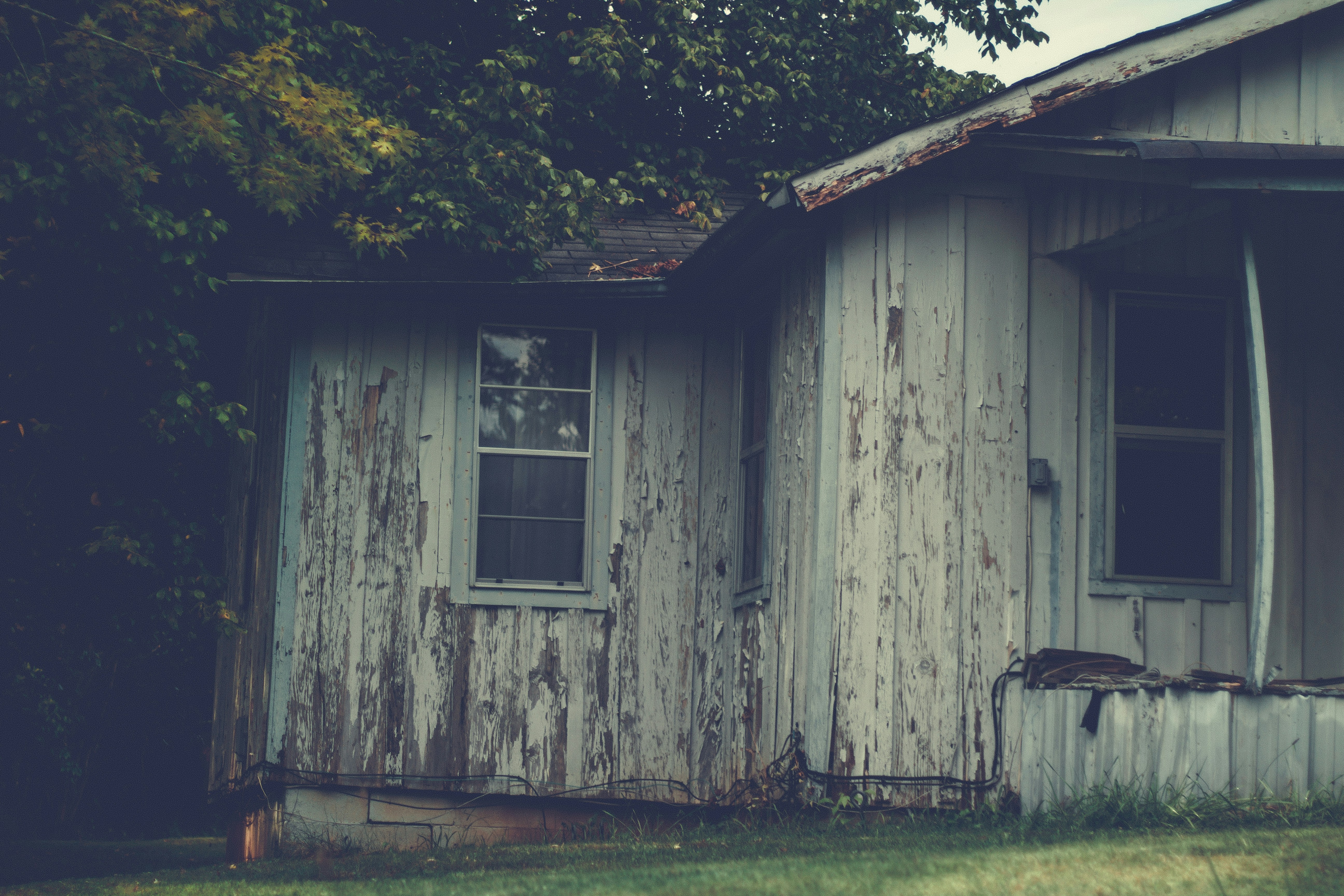 Decaying wooden house with peeling paint and broken windows, surrounded by overgrown grass and trees.