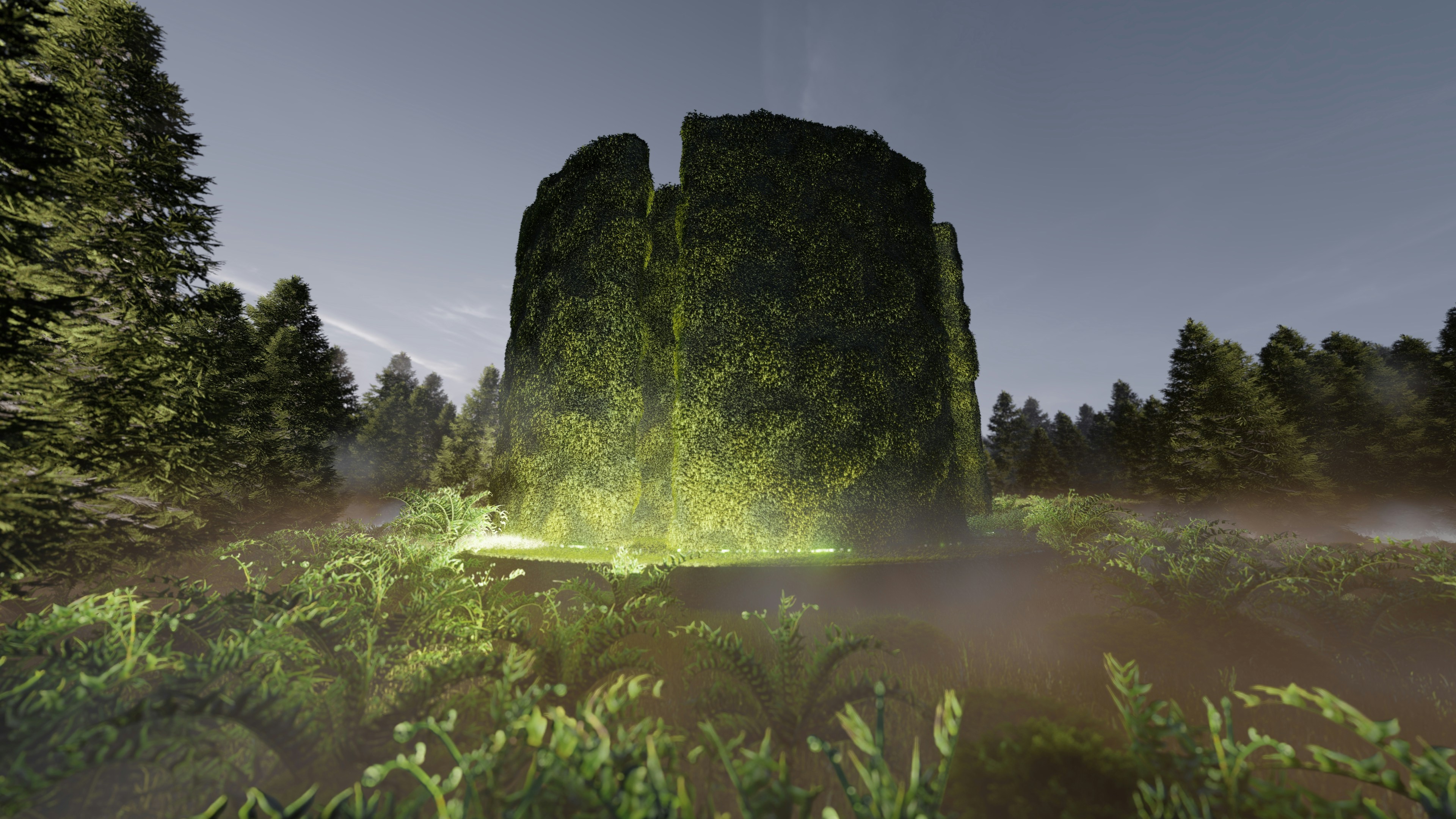 Animated Nature Pictures | Download Free Images on Unsplash