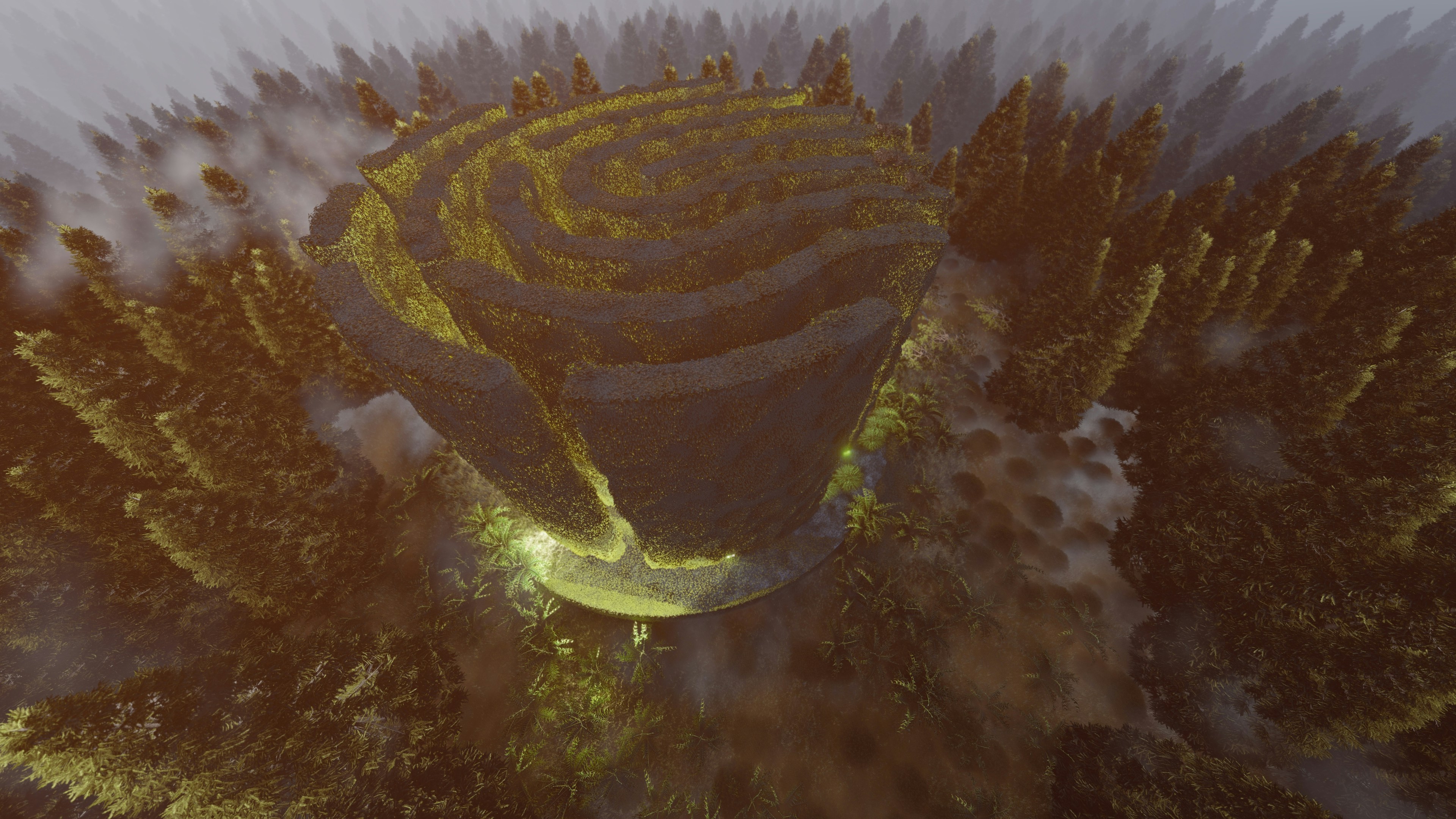 An aerial view of a tree maze in the woods photo – Free Green Image on ...