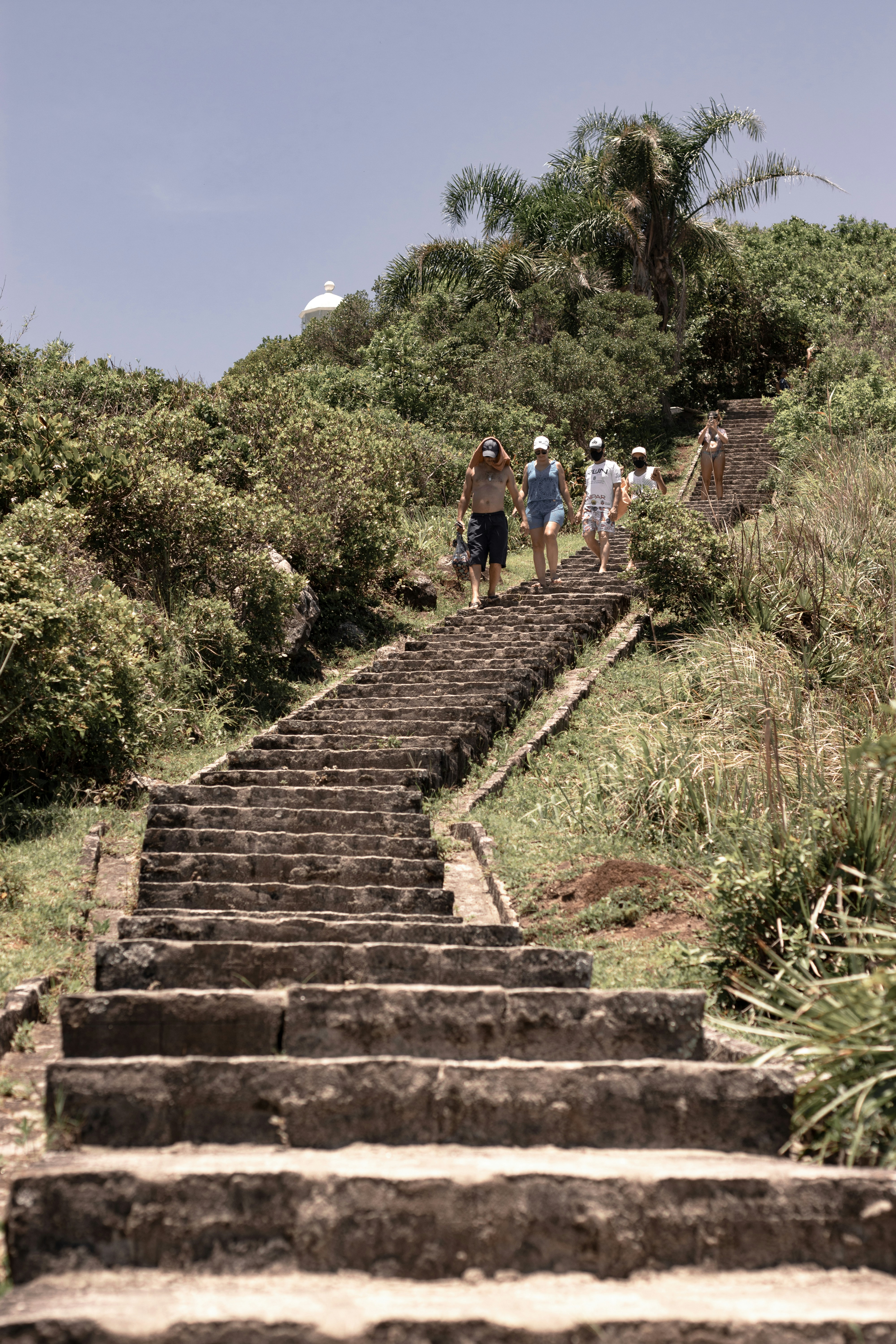 Stone steps ascend through lush greenery under a clear sky, with a group of people climbing toward the summit.