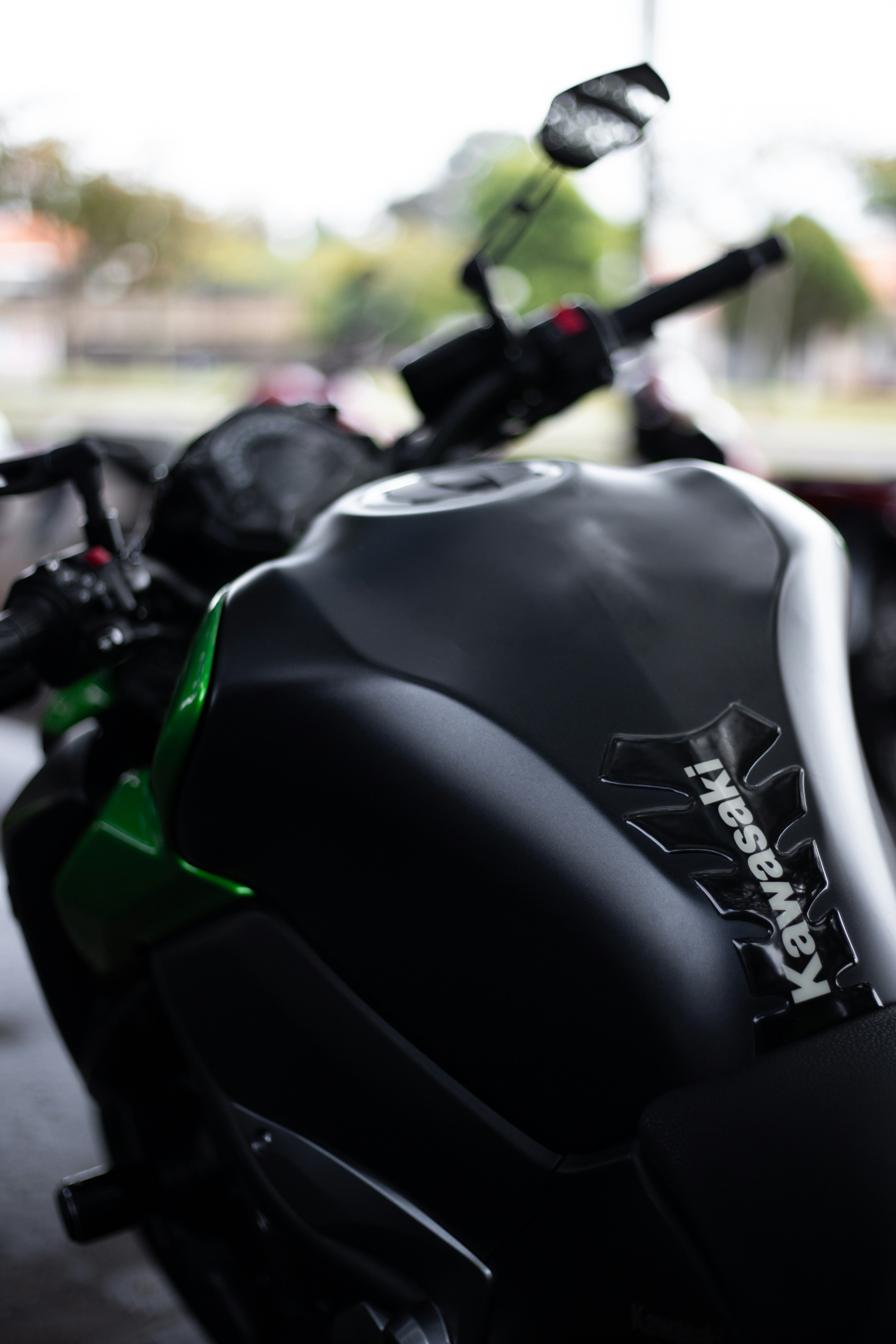 Green Power: The Kawasaki Ninja Stare at the Curved Tank