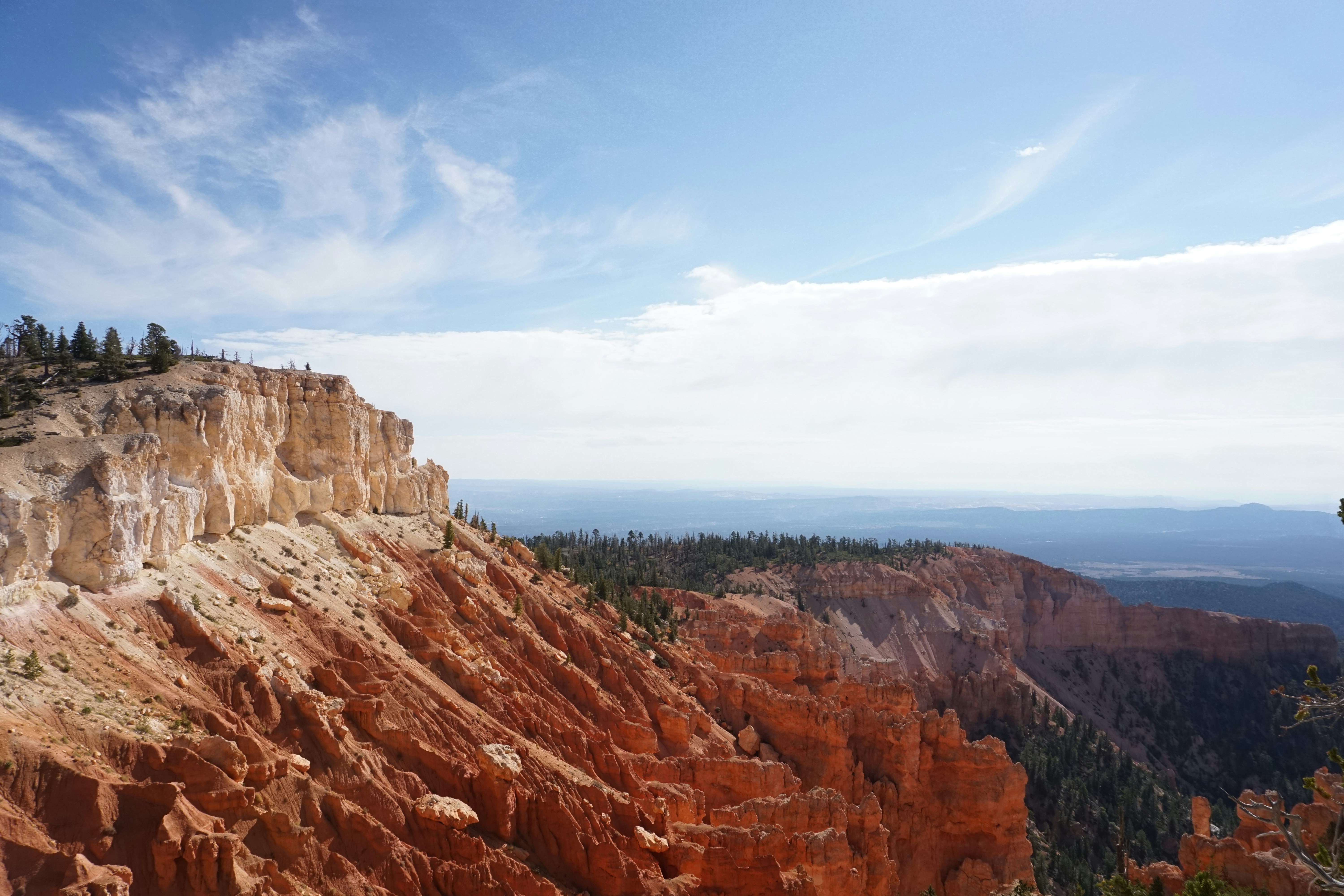 A view of a rocky cliff with trees on top photo – Free Bryce canyon ...