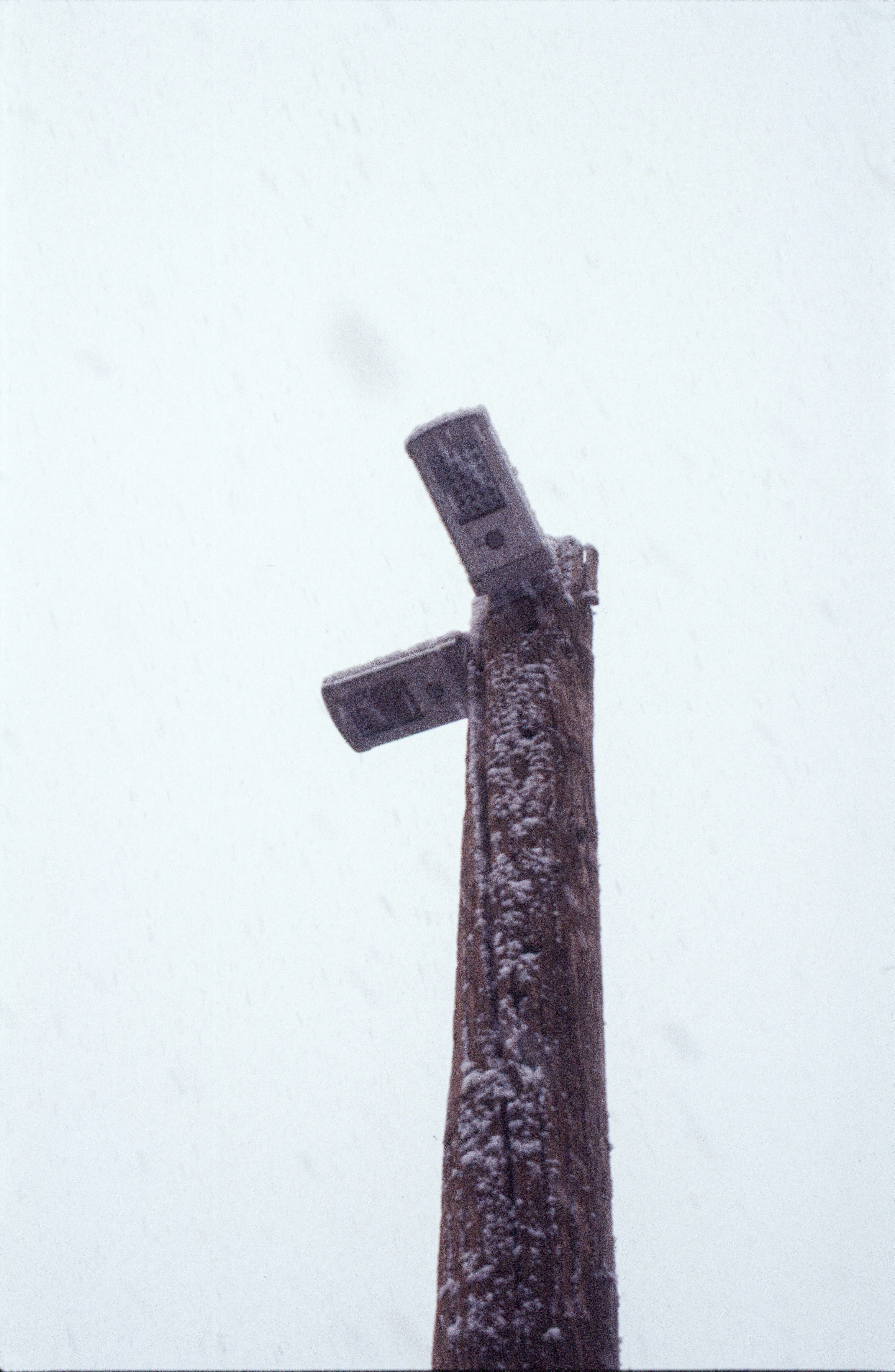 Weathered wooden pole with two signs at its top, surrounded by a soft snowfall against a muted sky.