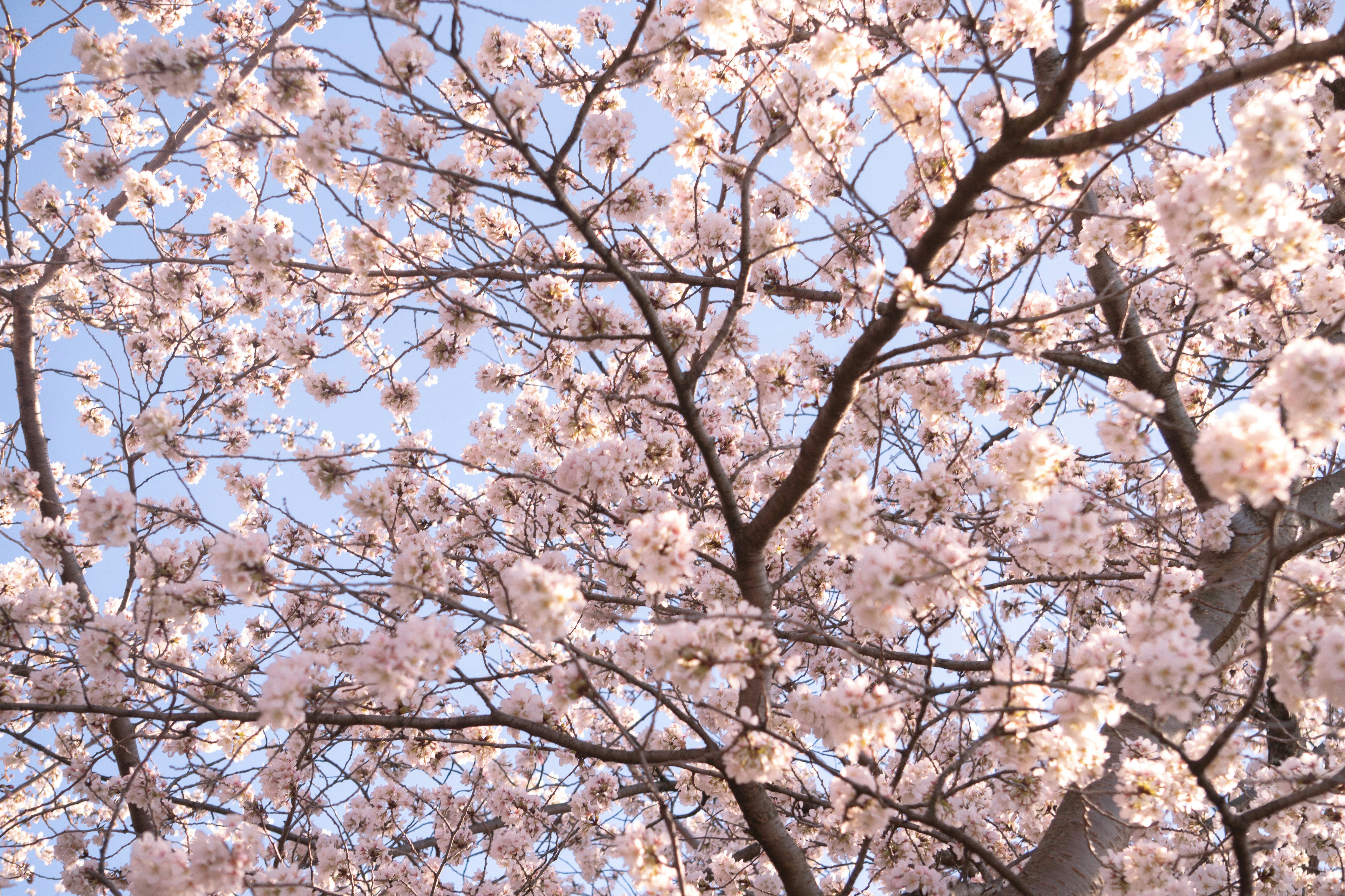 Taylor (@taylor_08) | Unsplashフォトコミュニティ