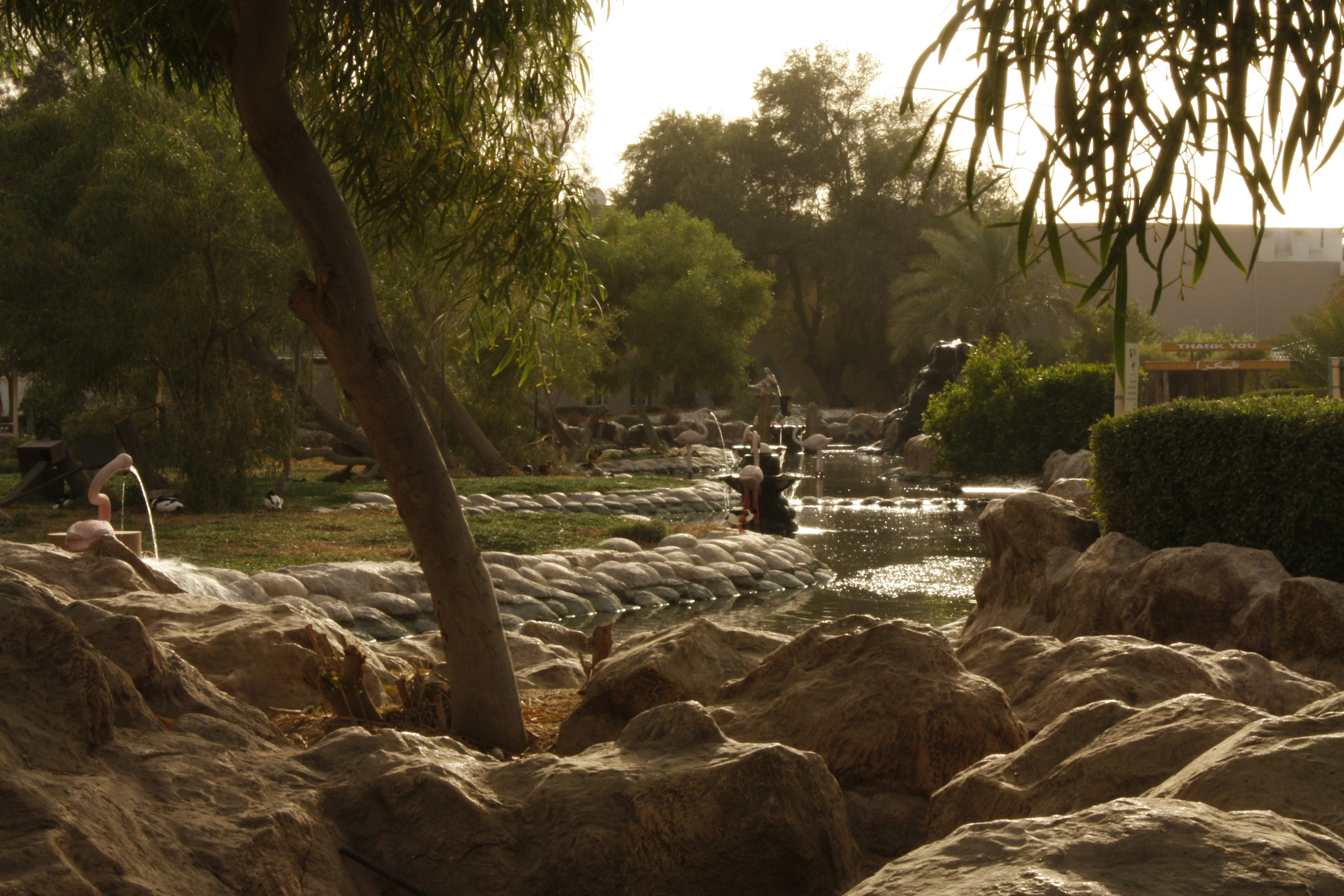A tranquil garden scene featuring a winding waterway bordered by rocks and lush greenery, illuminated by soft evening light.