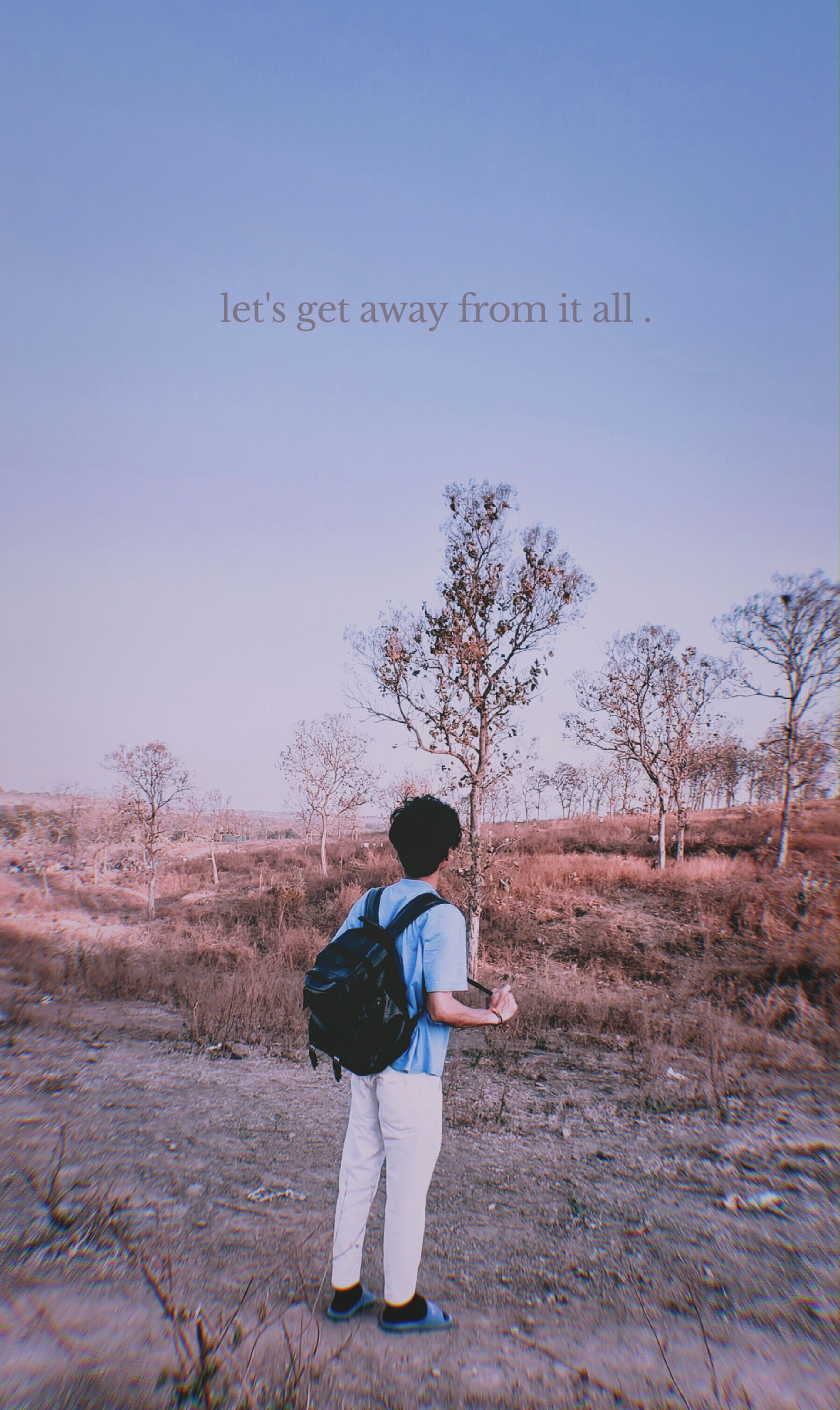 Come Back Pictures | Download Free Images on Unsplash