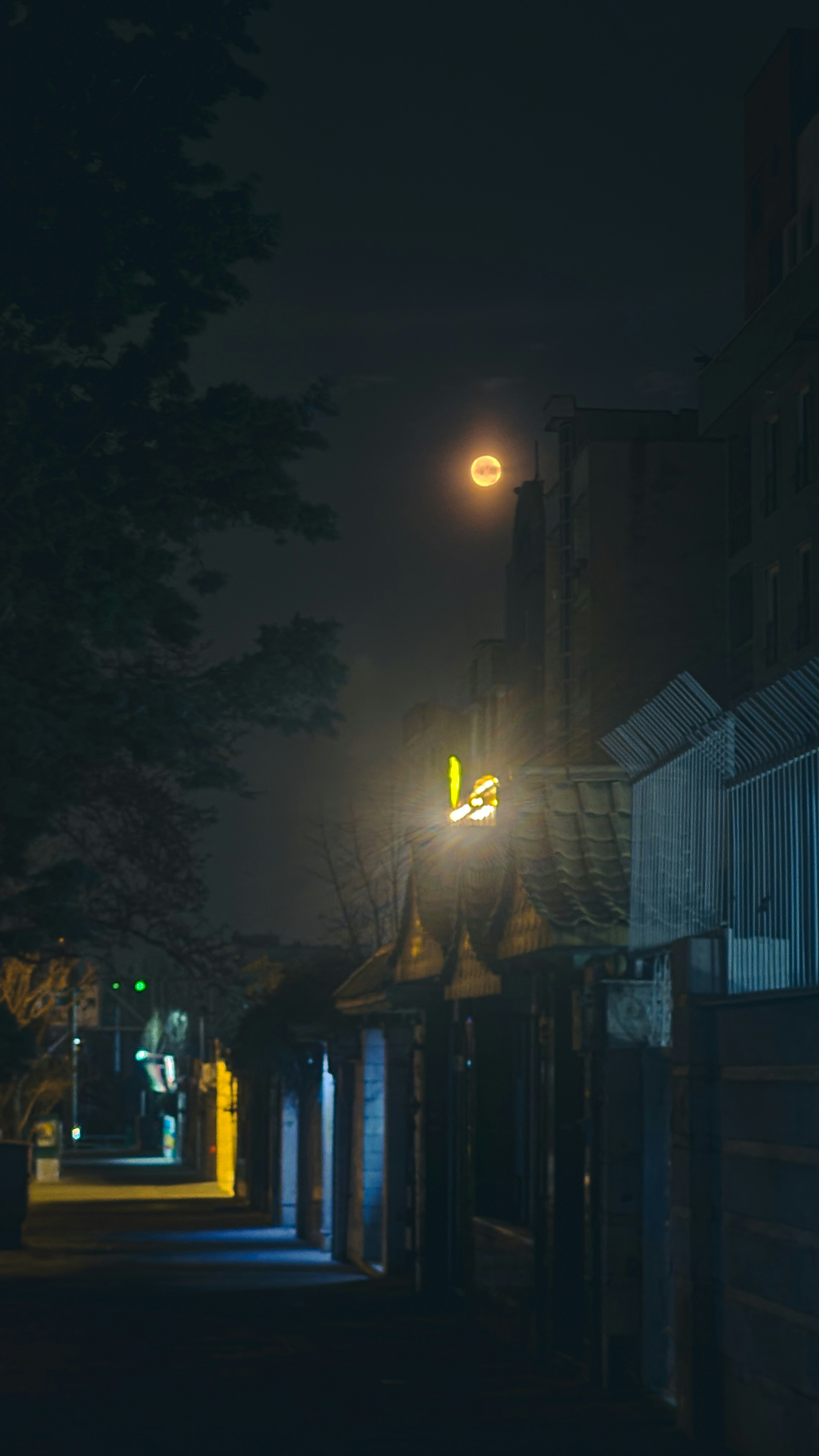 Illuminated alleyway under a glowing moon, with soft streetlights casting shadows along the path. The scene evokes a sense of tranquility and mystery.