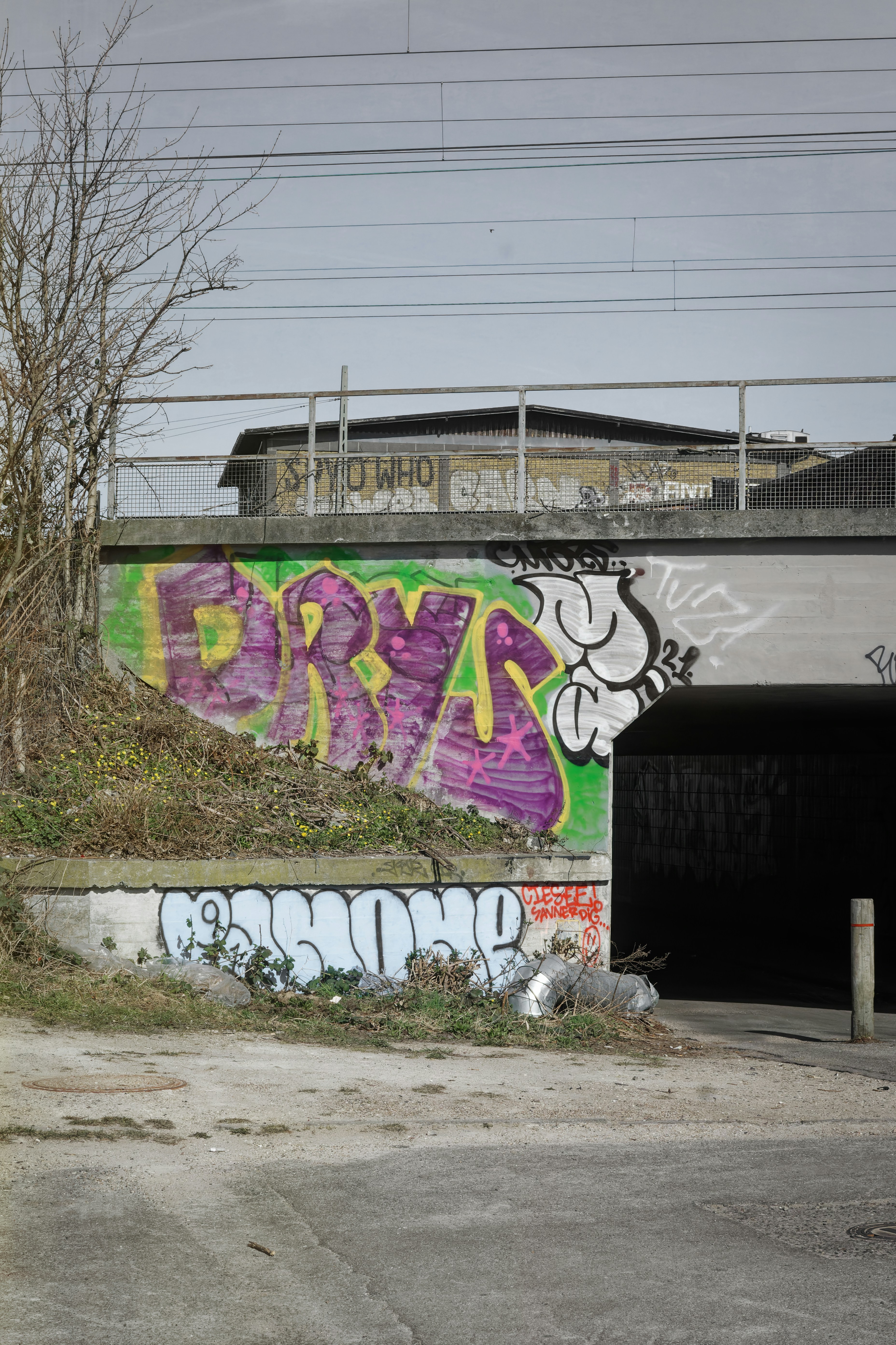 Urban Canvas: Tunnel of Expression