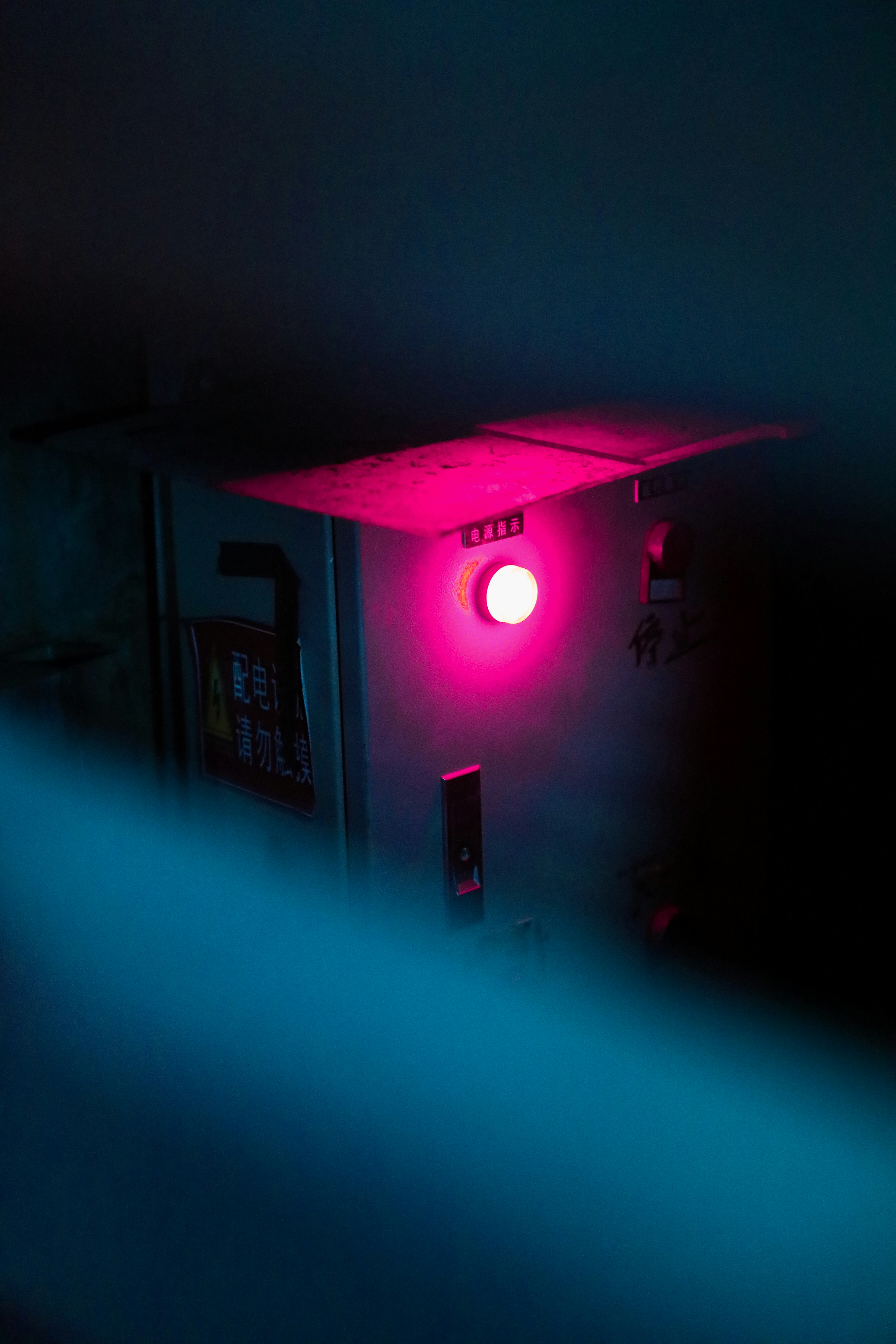 Neon Pulse on a Utility Box at Dusk