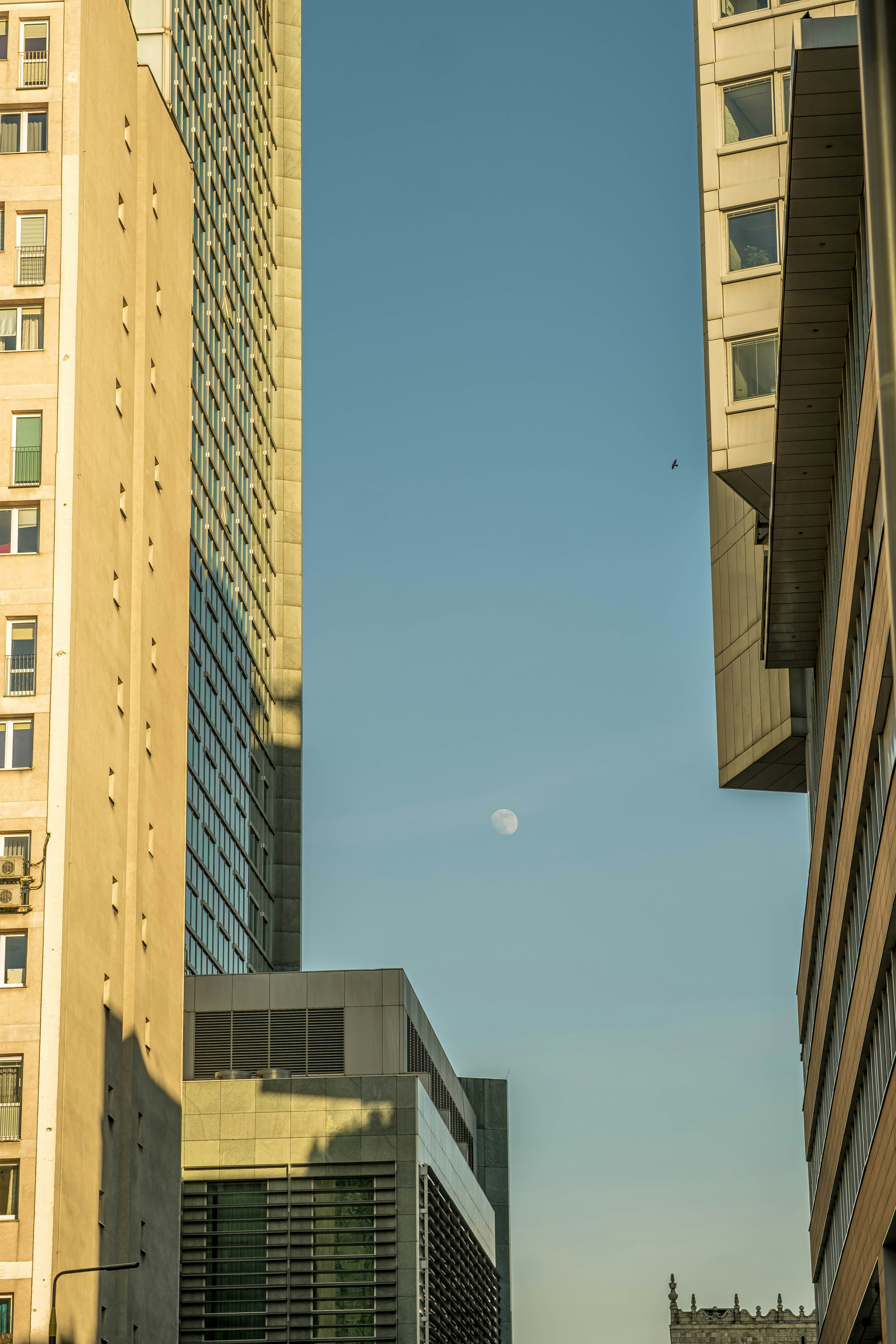 Moon in the Narrow Sky: Vertical Slice Between Skyscrapers