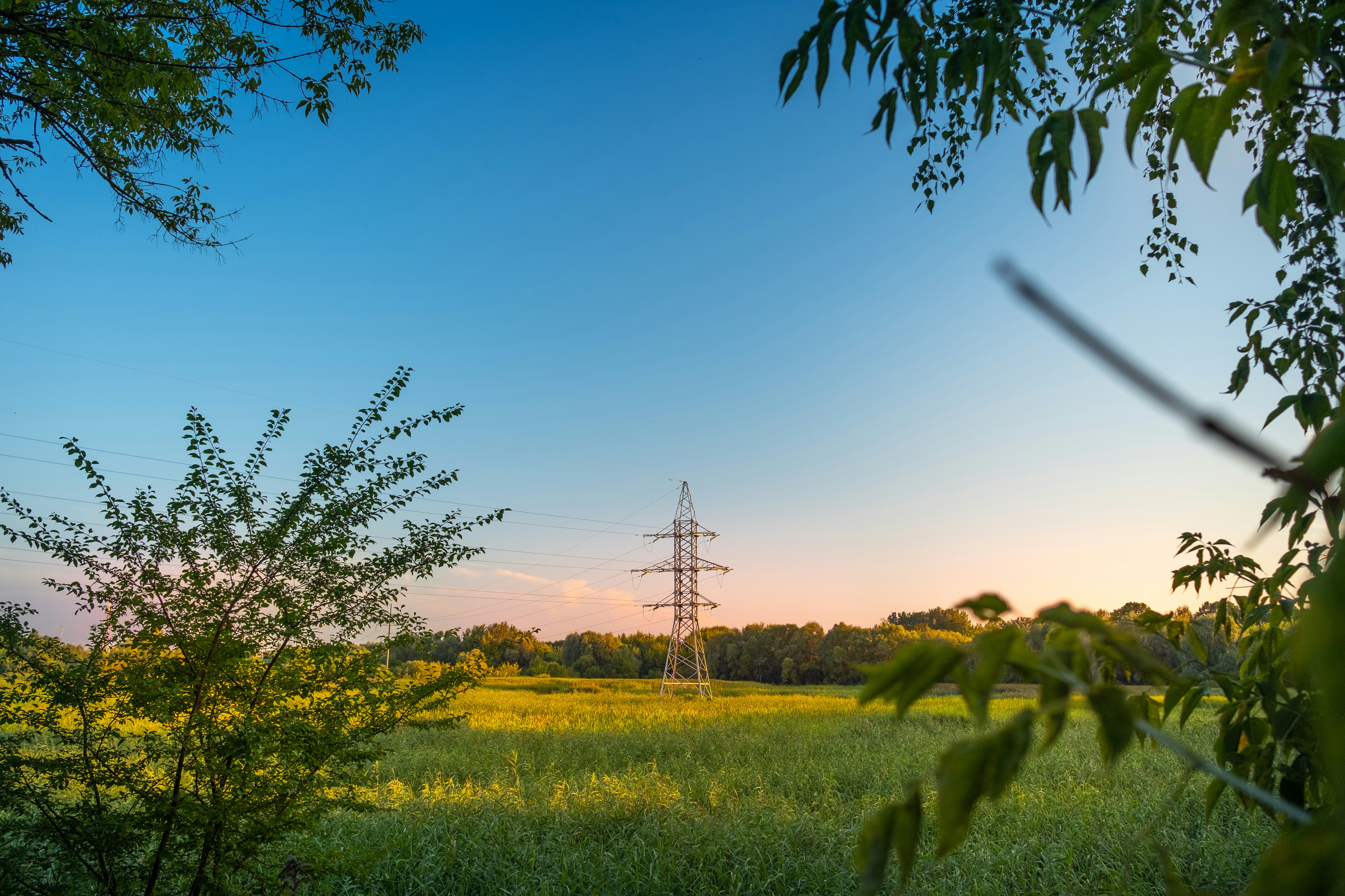 Un campo con un poste de teléfono en la distancia foto – Imagen de ...