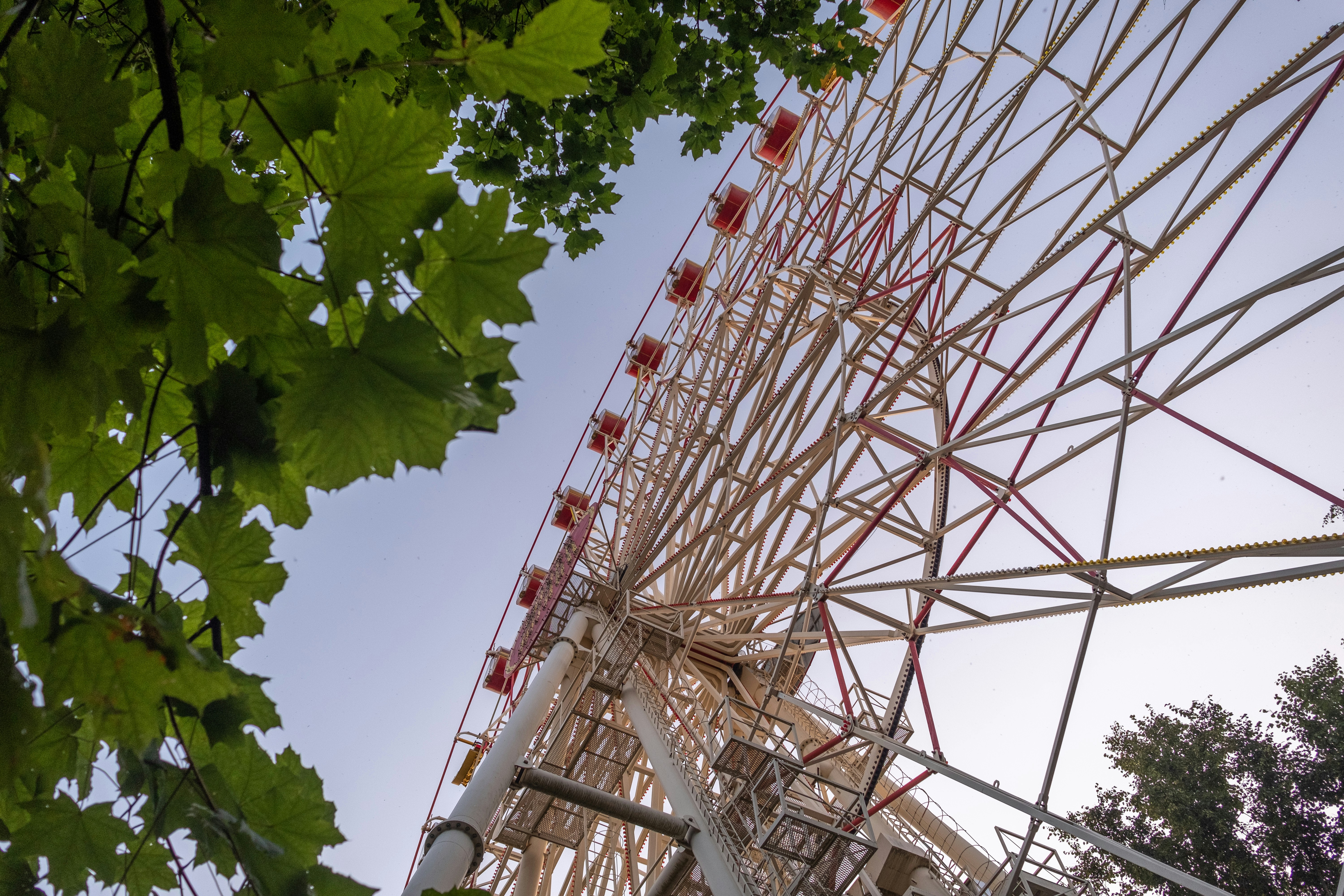 a large ferris wheel sitting next to a lush green forest