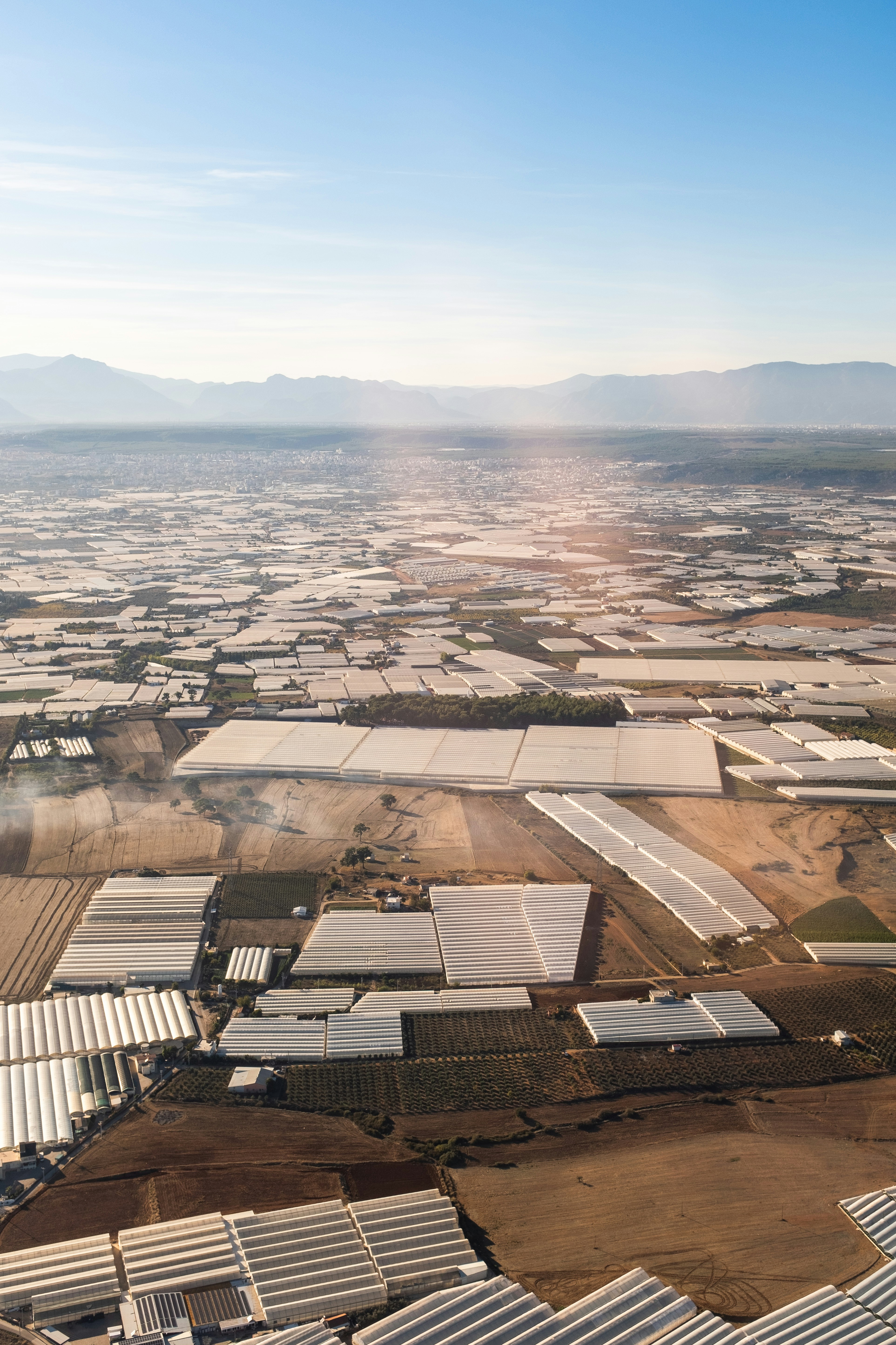 Patchwork Canopies: Aerial View of a Greenhouse Expanse