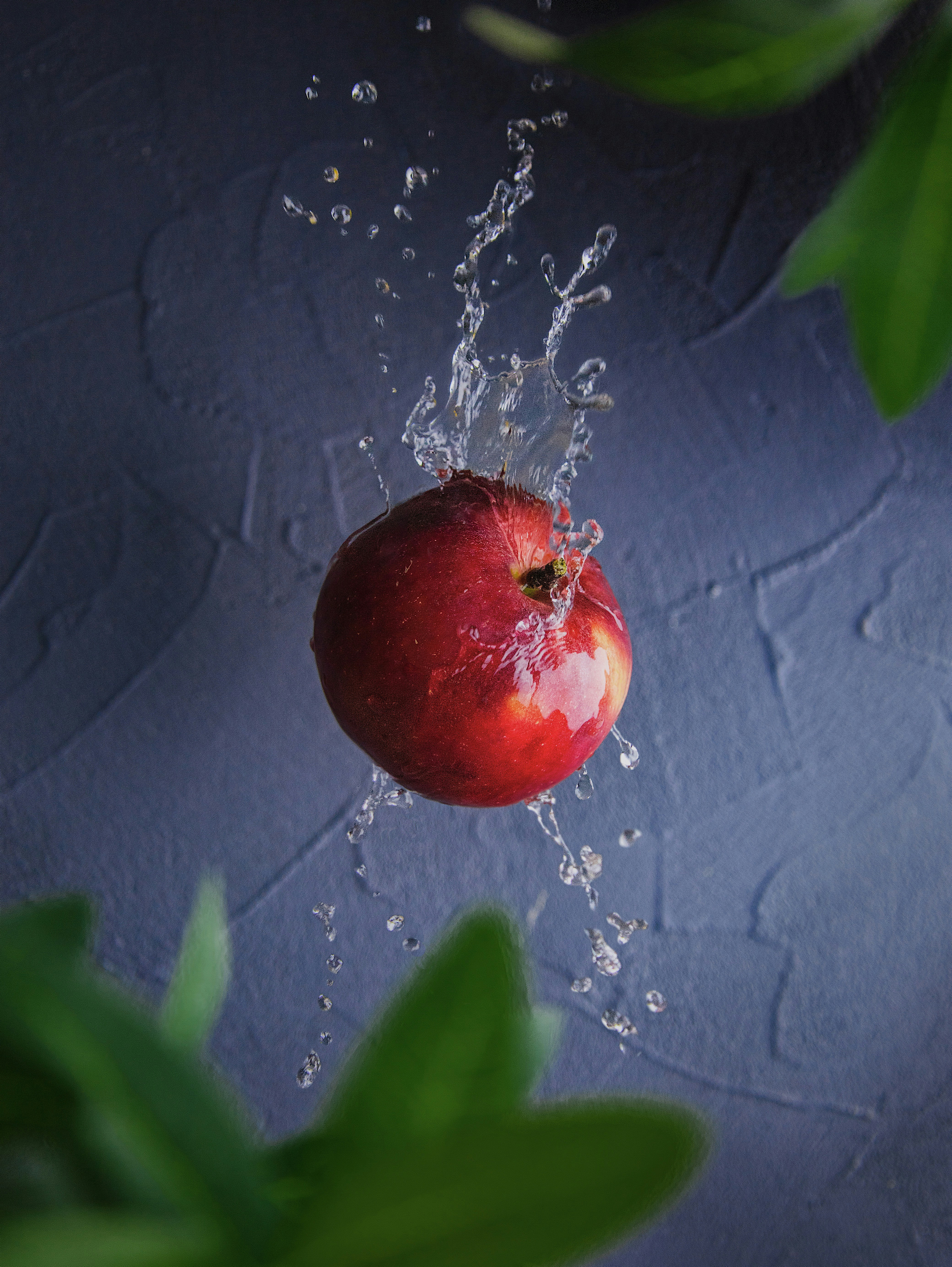 A red apple is being splashed with water photo – Free Plant Image on ...