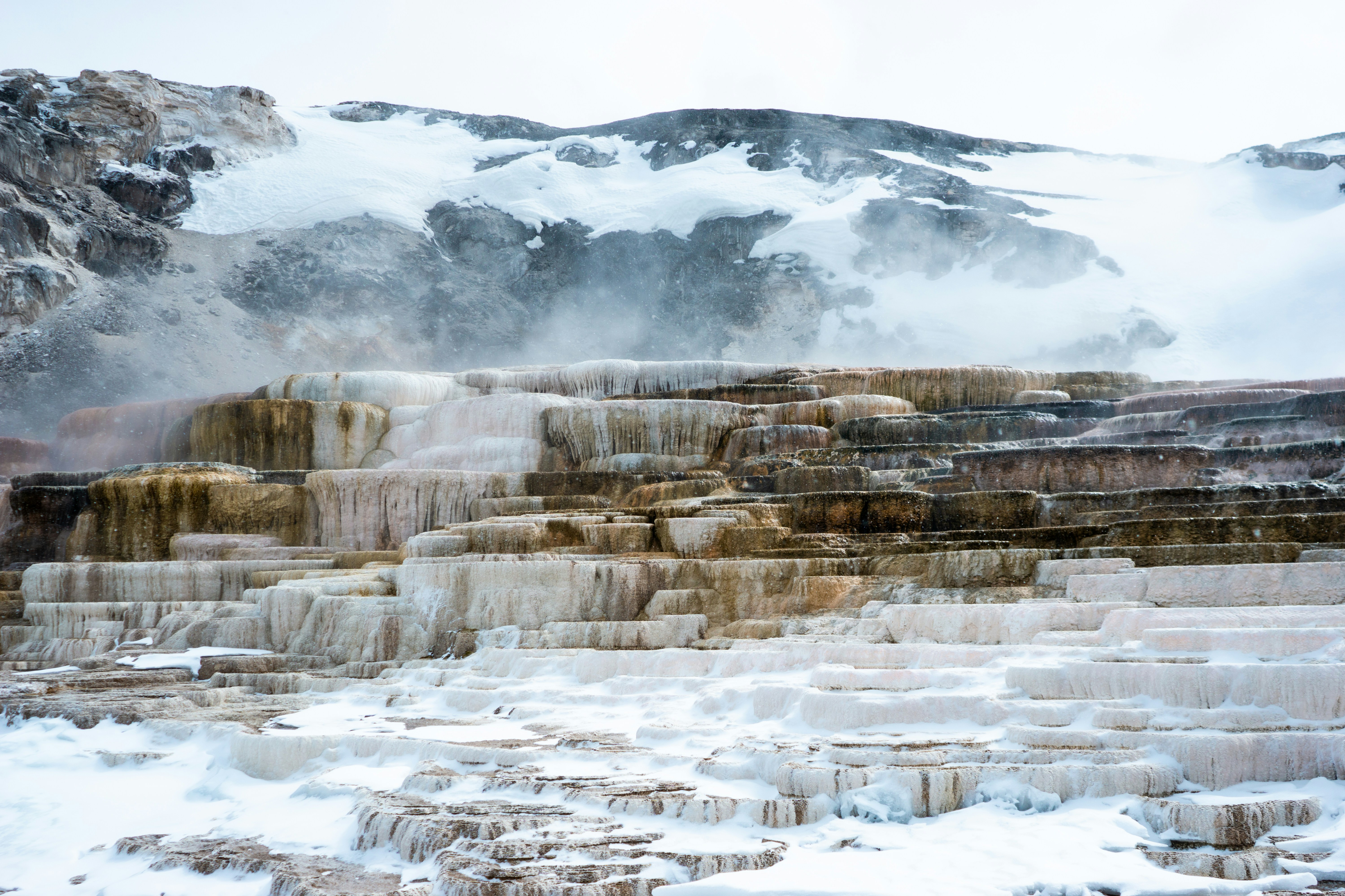 A large group of hot springs in the snow photo – Free Yellowstone ...