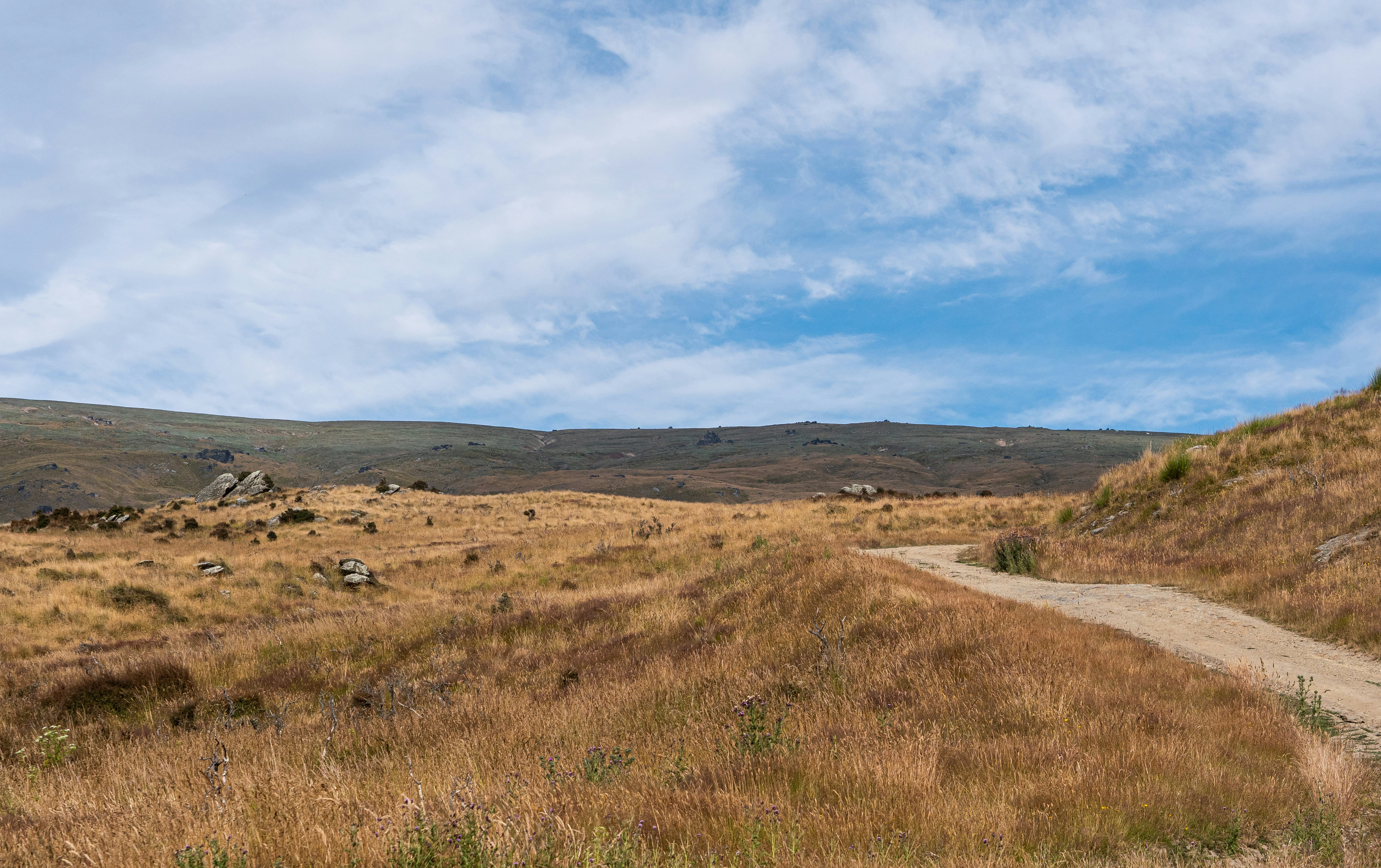 A gravel path meanders through golden grasslands under a blue sky with wispy clouds. The scene evokes a sense of tranquility and open space.