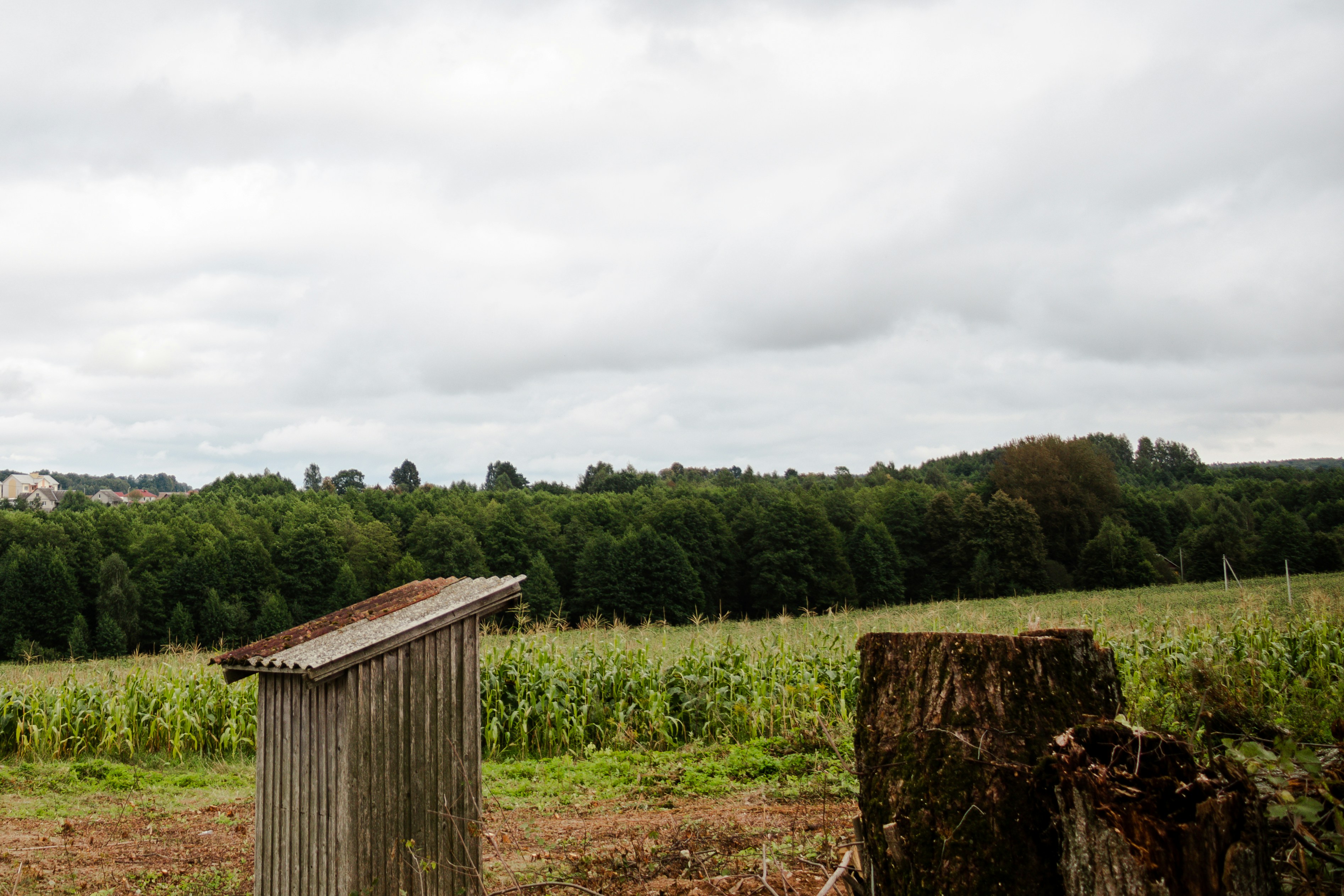 A wooden outhouse in a field with trees in the background photo – Free ...