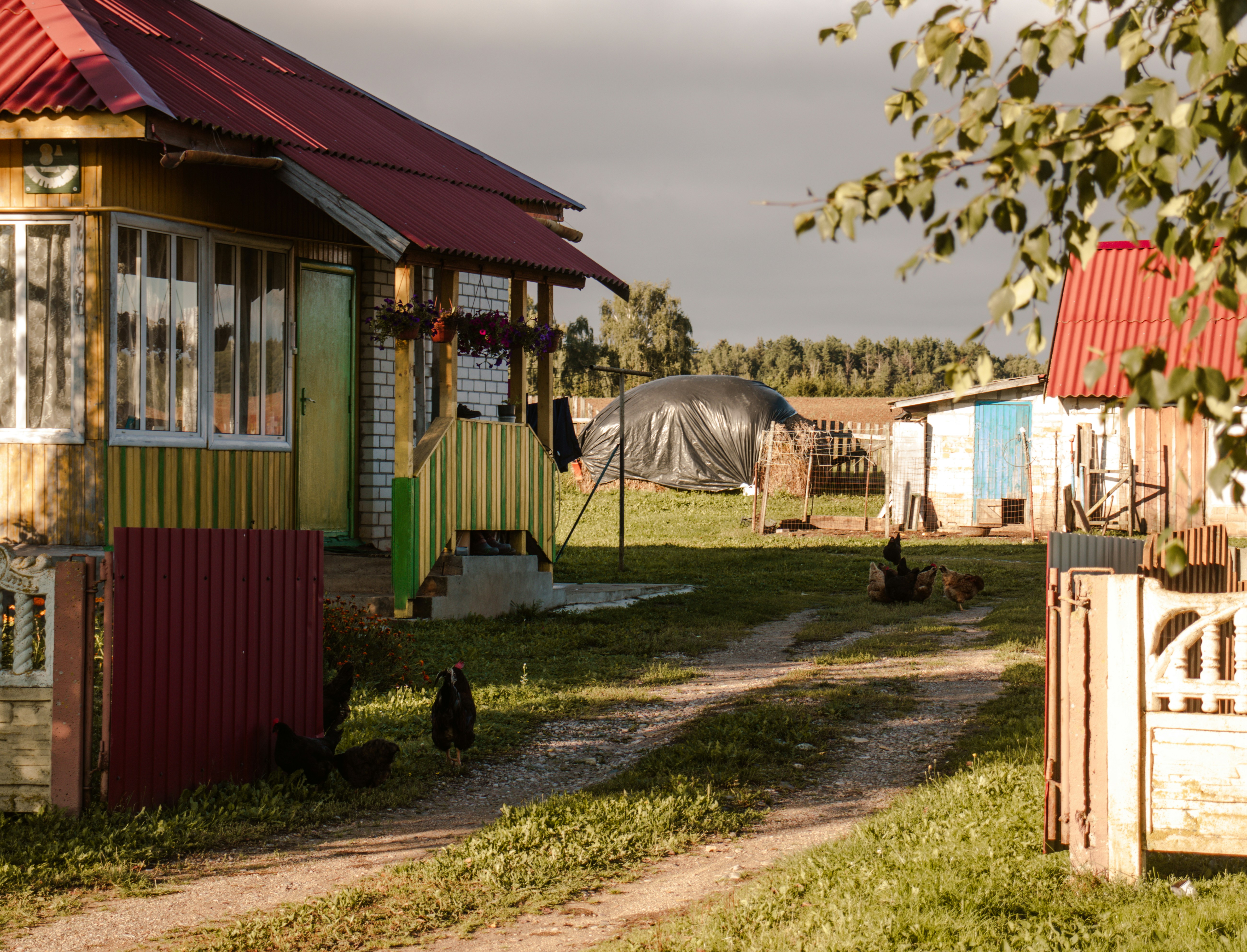 Dirt Road Convergence: A Village Path Toward a Gray Tent in Warm Afternoon Light
