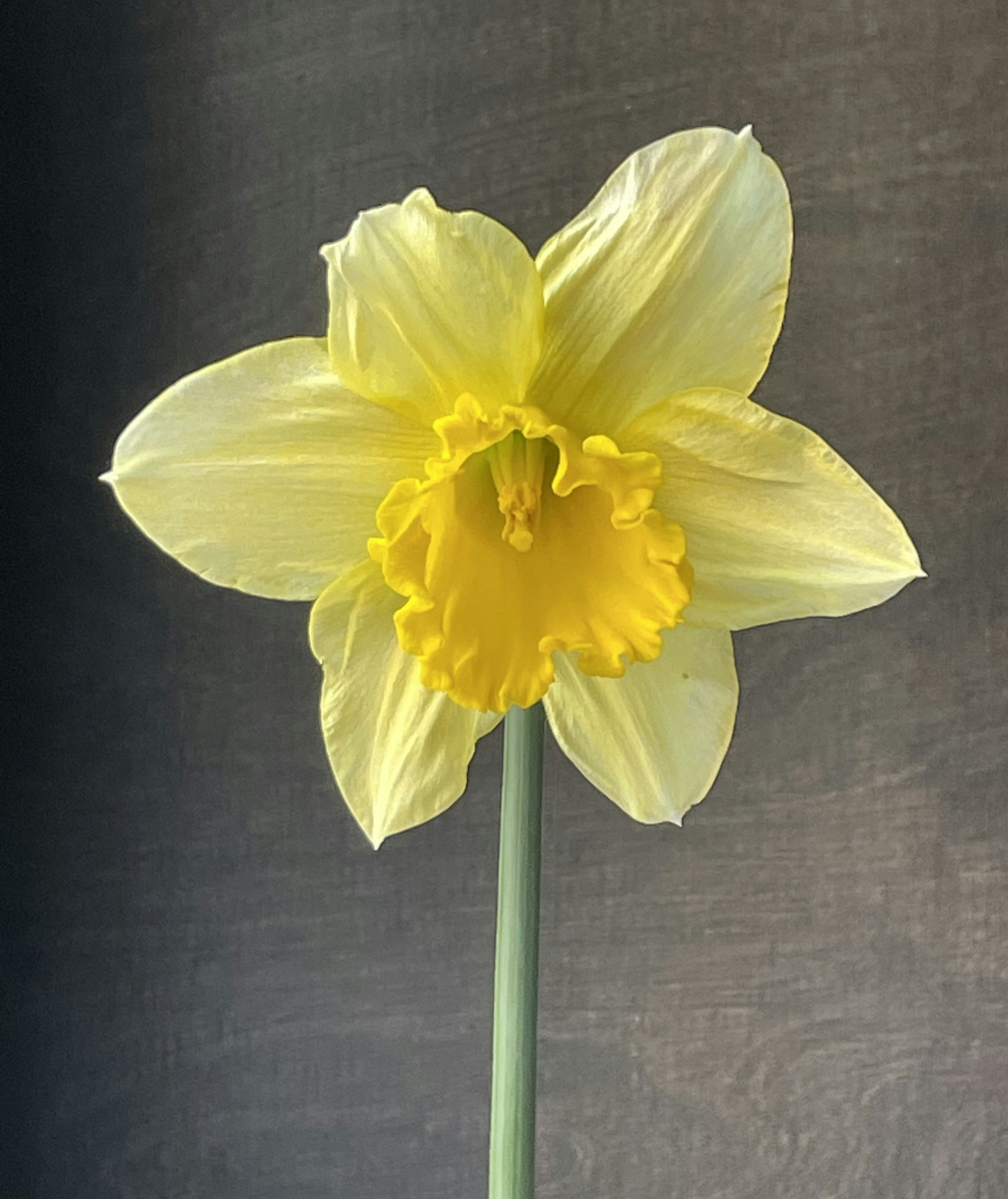 Frank Broscheit (@fbro64) | Unsplash Photo Community