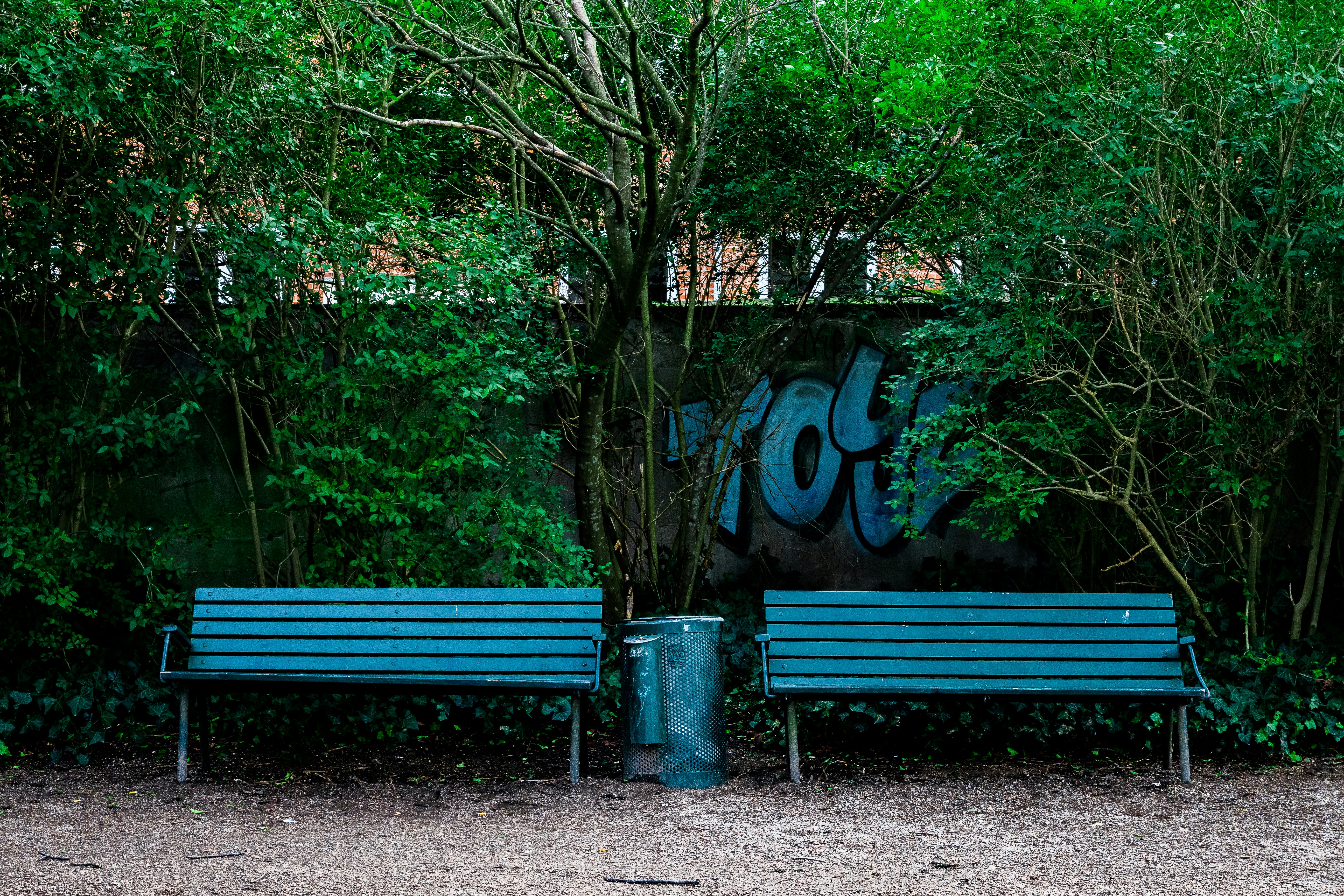 Blue Seats in the Green Corridor
