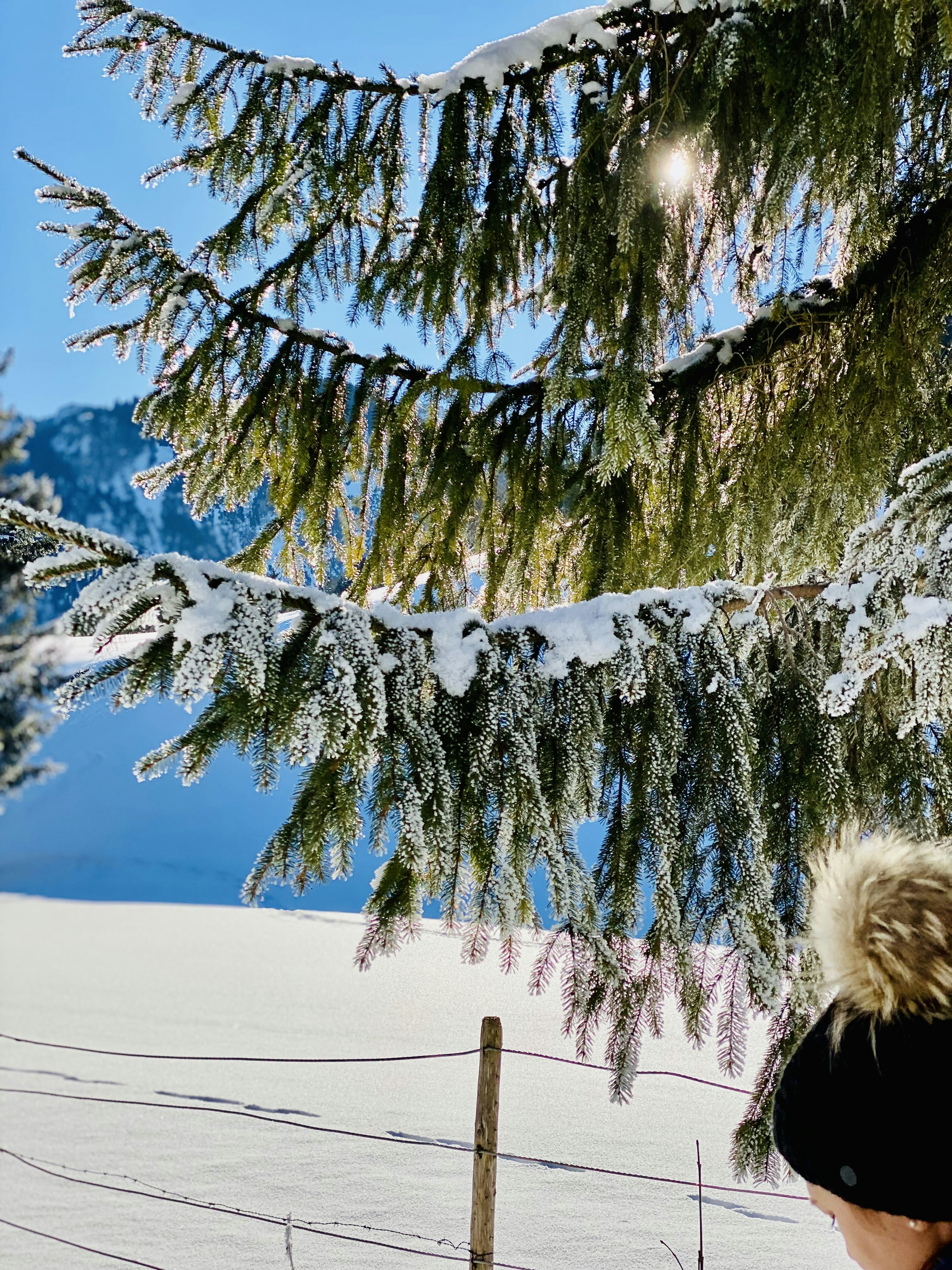 A person standing in the snow near a tree photo – Free Tree Image on ...