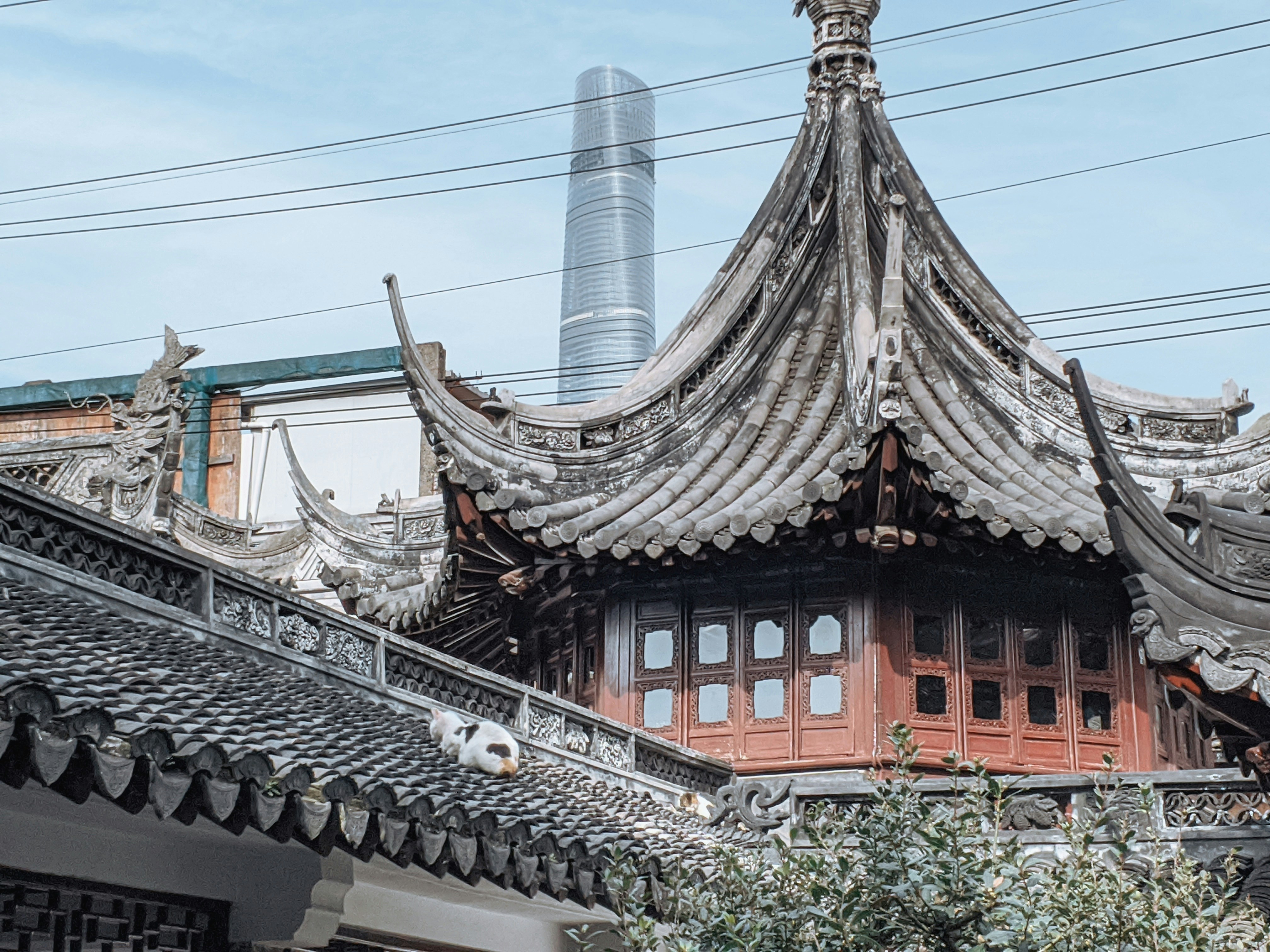 Temple Rooflines Meet a Skyward Torch: Tradition and Modernity in Focus