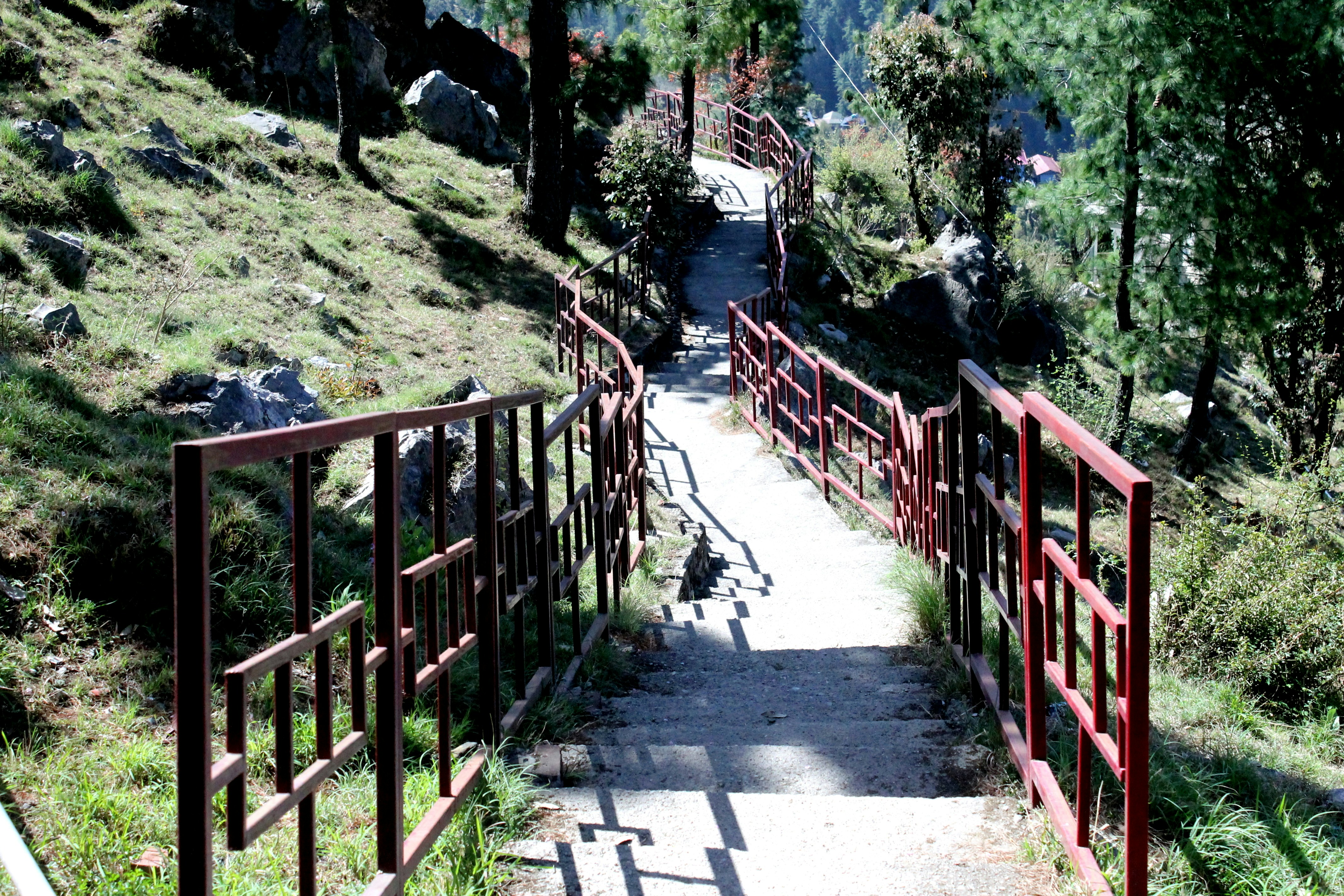 Forest Staircase: Red Rails Framing a Sunlit Ascent