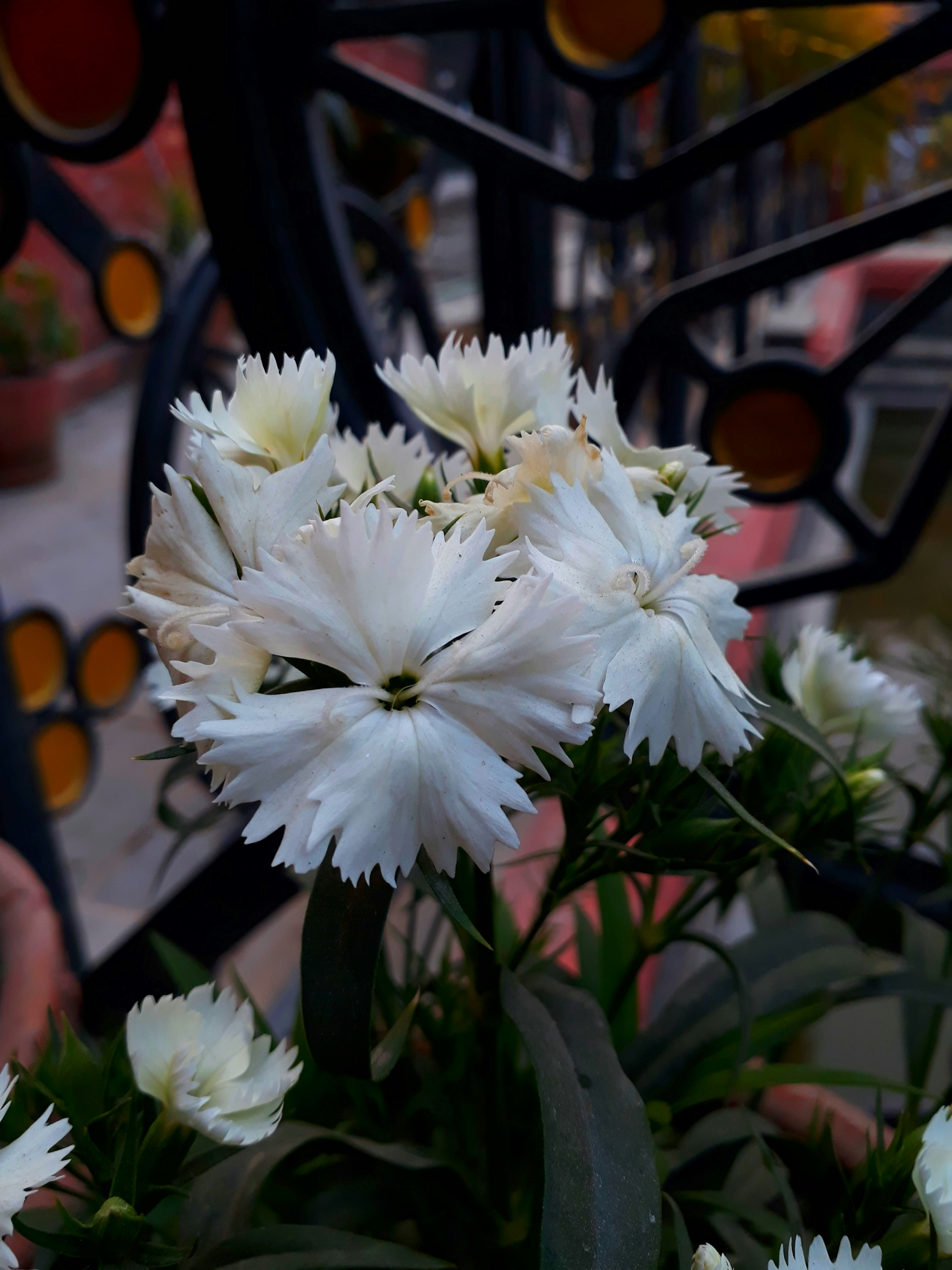 kisan rai (@kisan_rai) | Unsplash 사진 커뮤니티