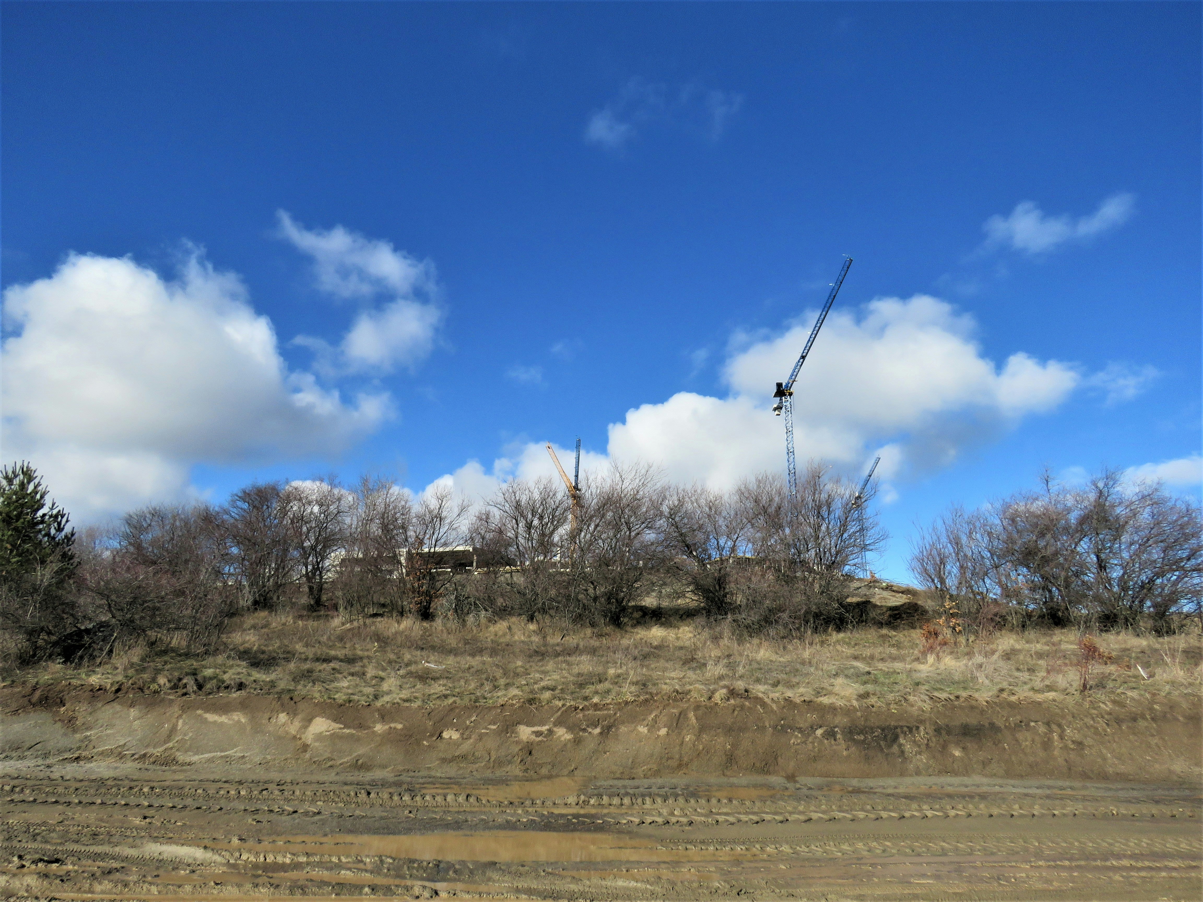 Il y a une grue qui est au sommet d’une colline photo – Photo Bulgarie ...