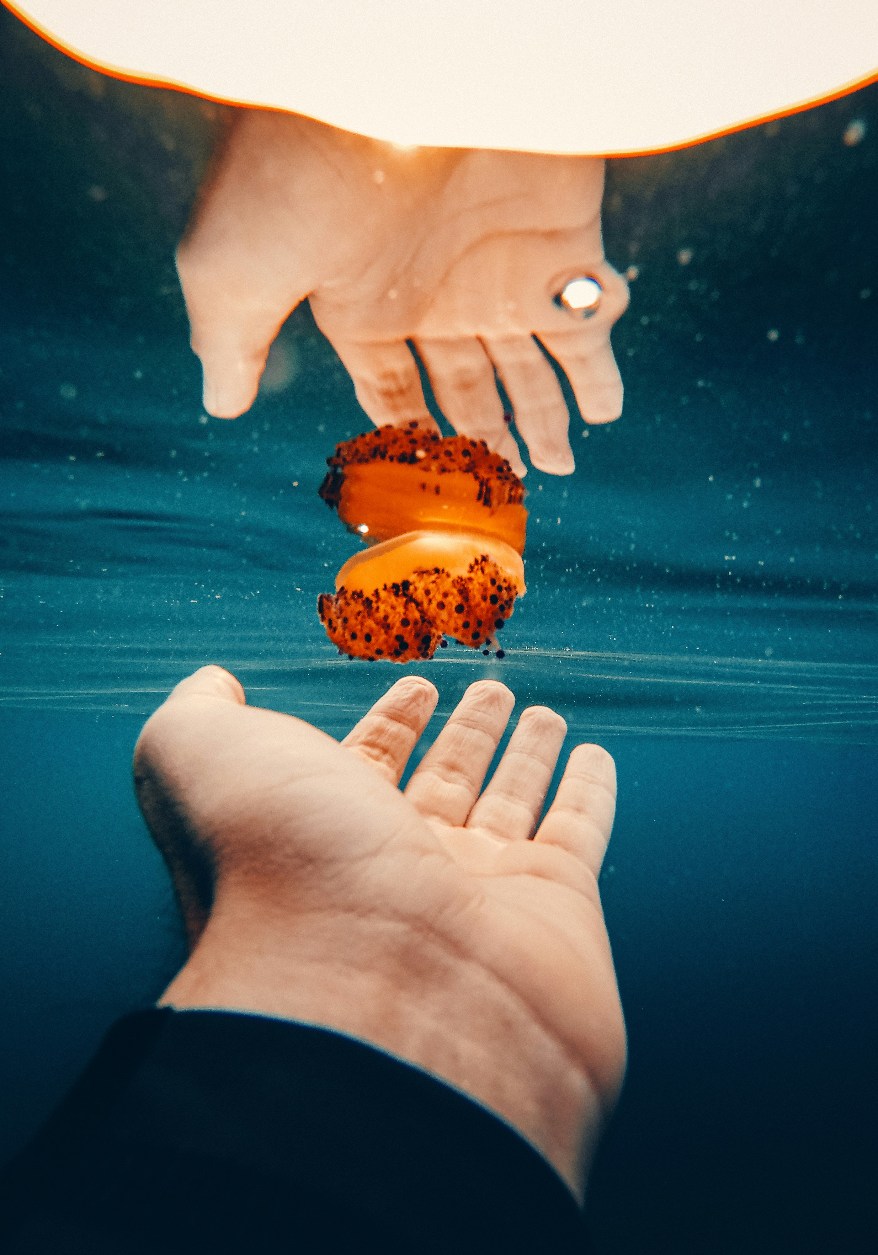 Underwater Gift: Hands Releasing a Jellyfish Beacon