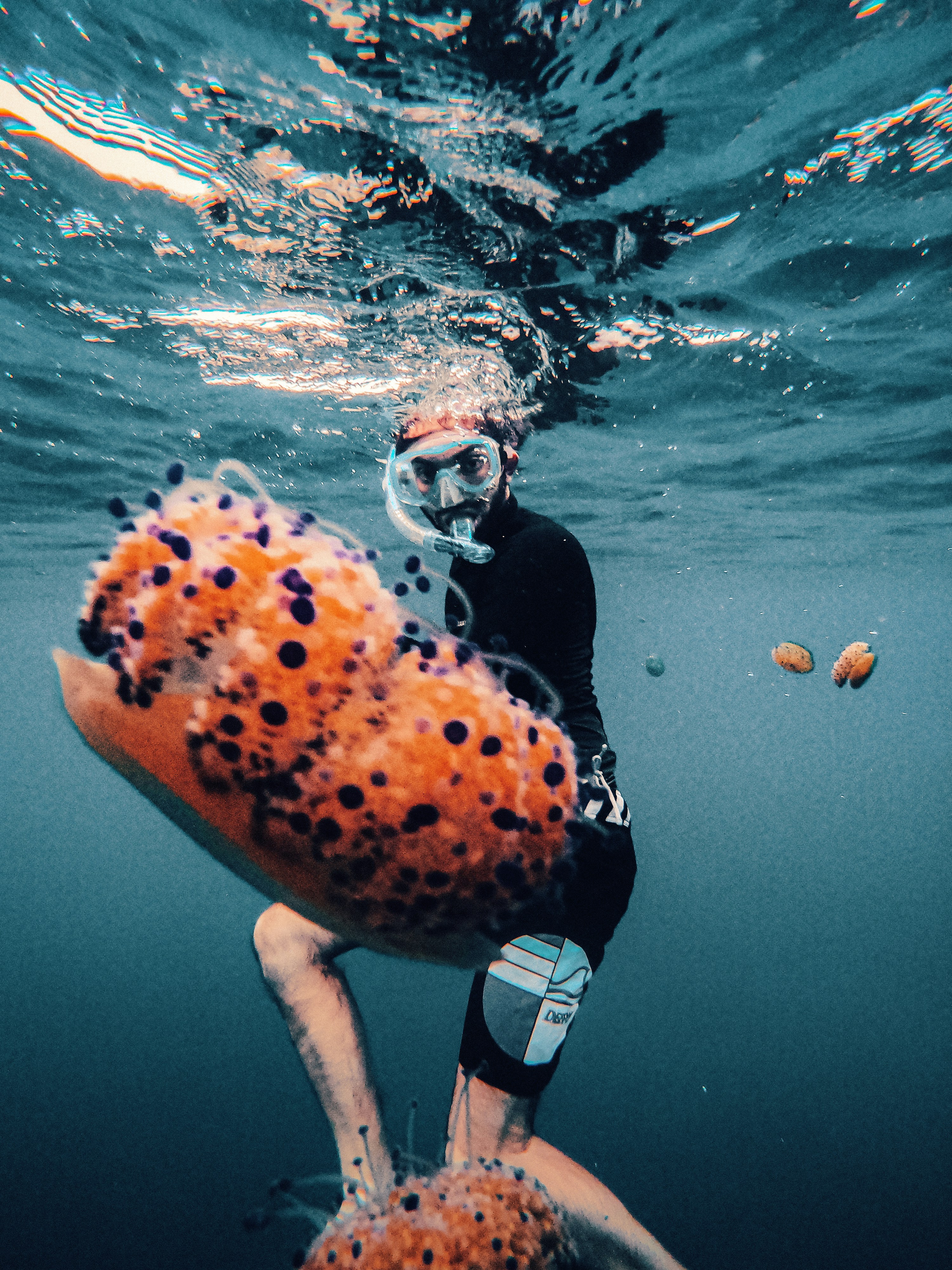 Freediver Encounters a Spotted Orange Sea Creature in Turquoise Depths