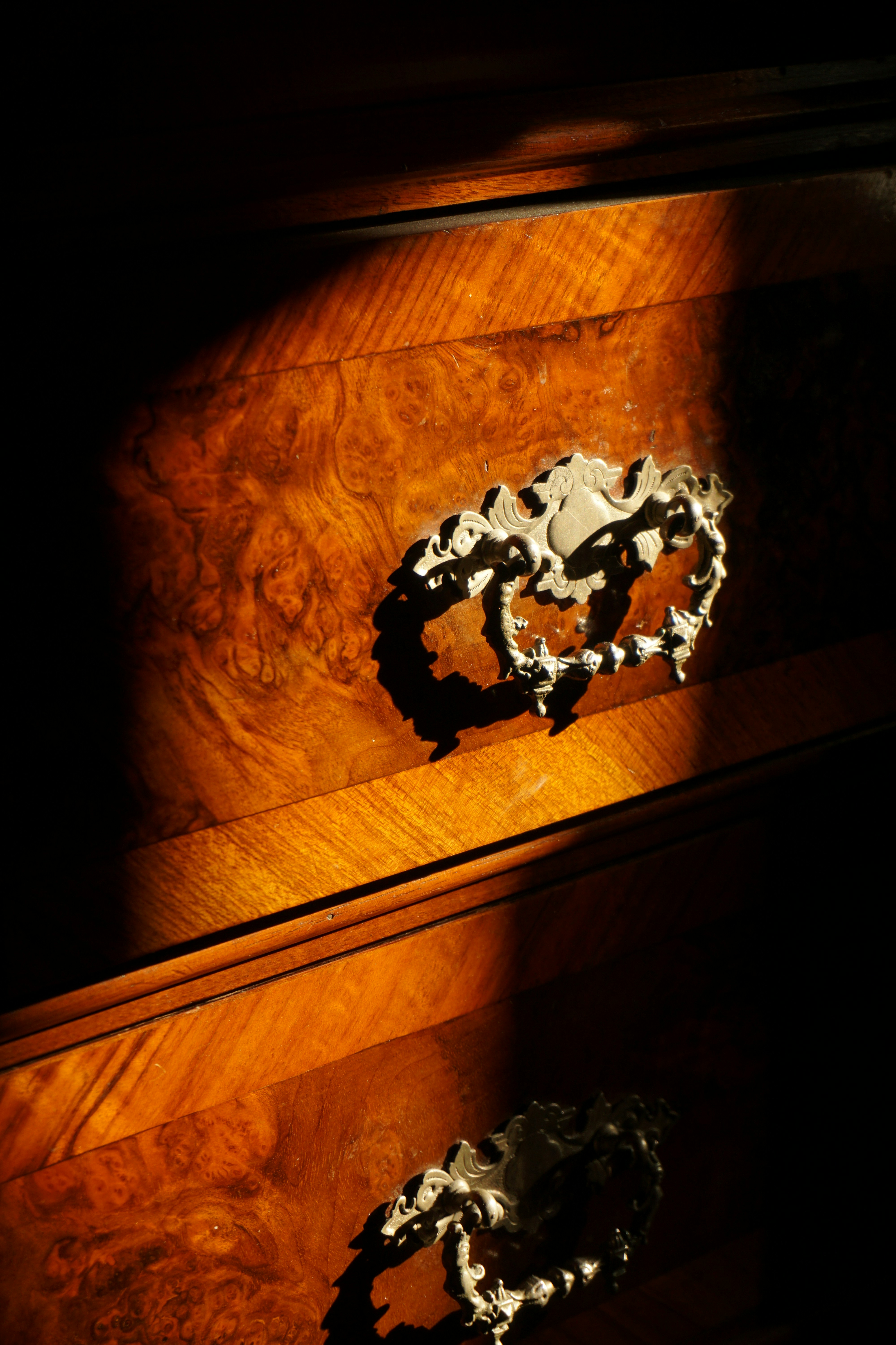 Filigree Shadow on Warm Walnut: A Glint of Crowned Detailing