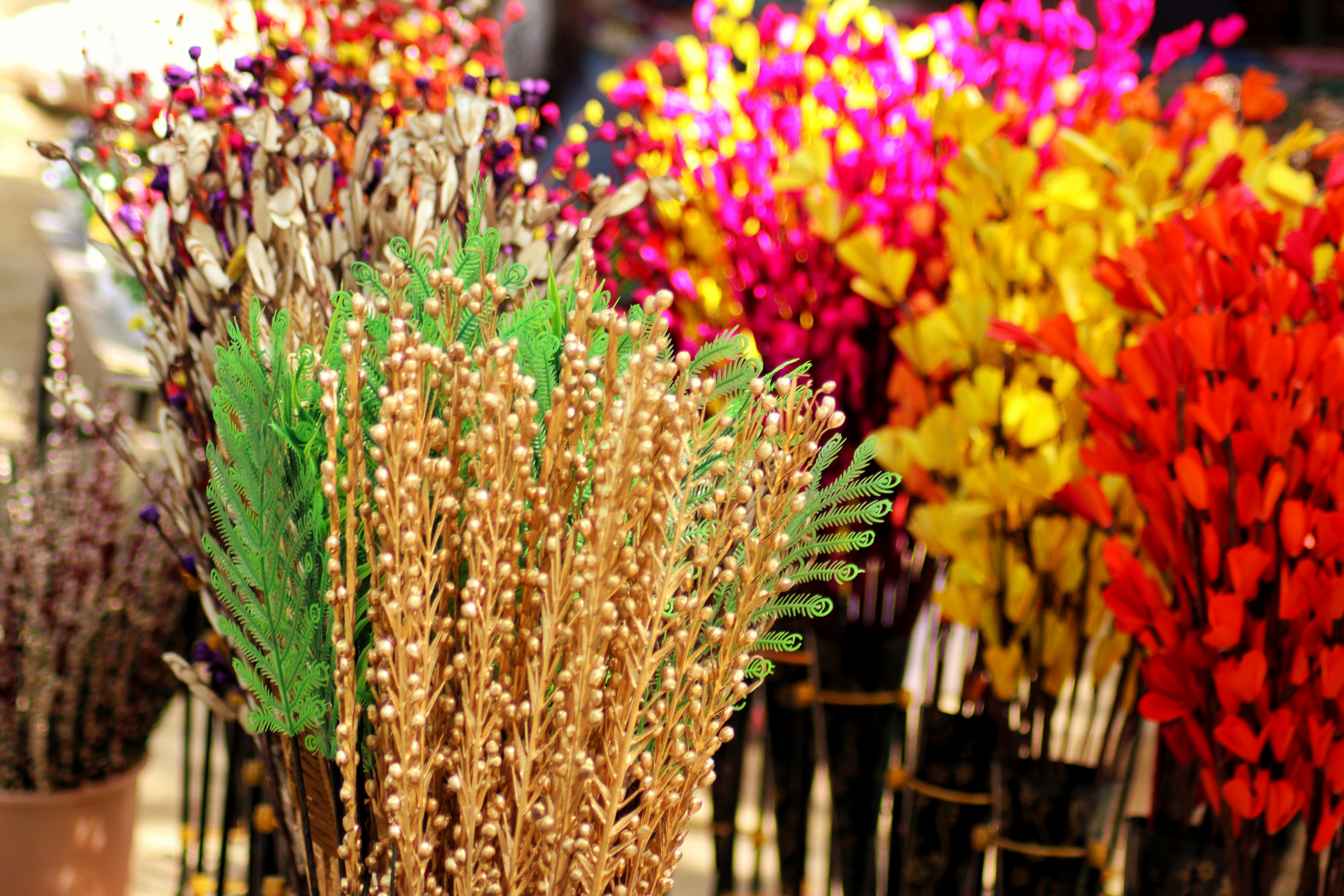 Vibrant Boutiques: A Burst of Dried Florals in Colorful Hues