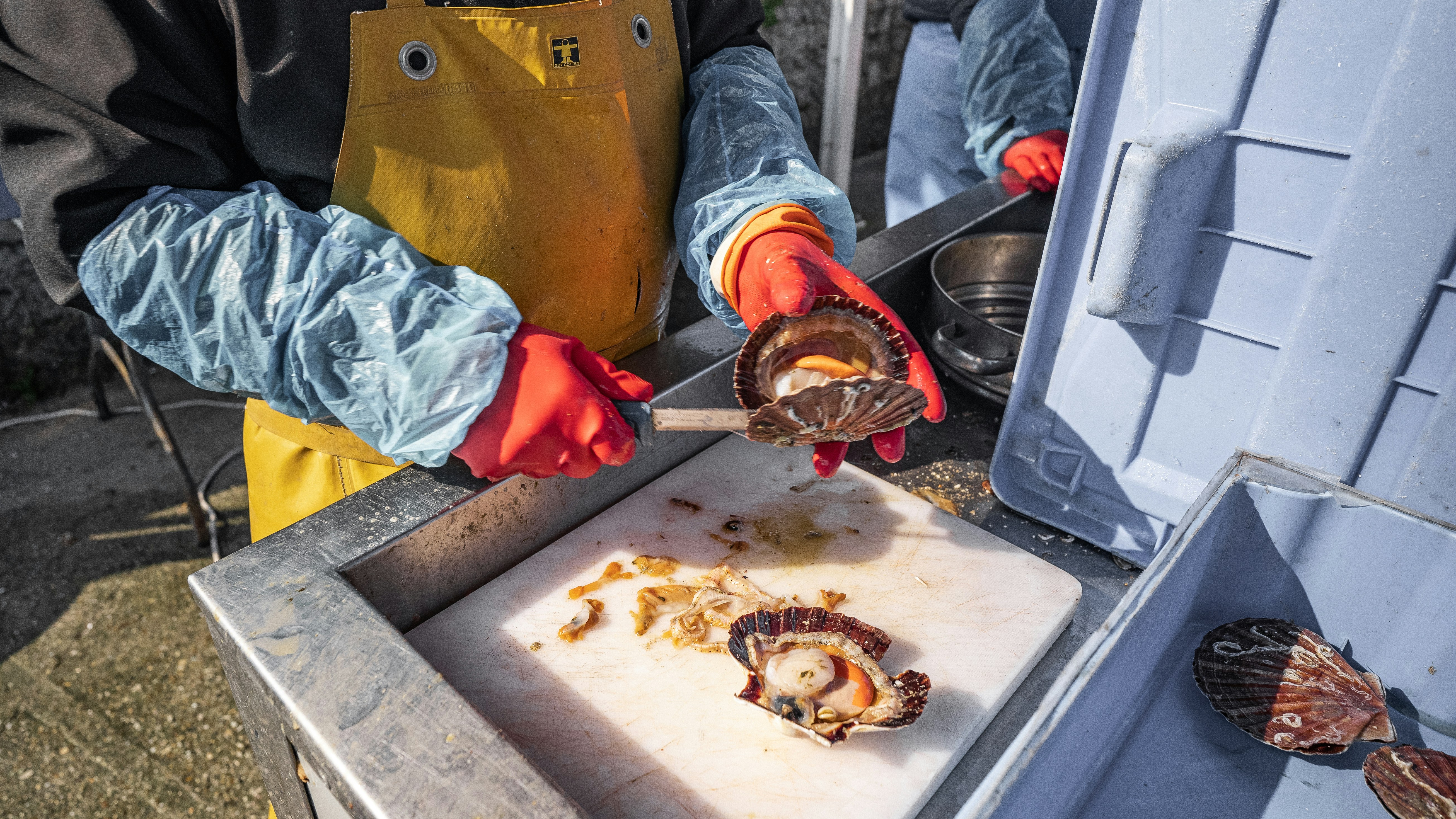 Careful Cut: Abalone Preparation at the Prep Counter