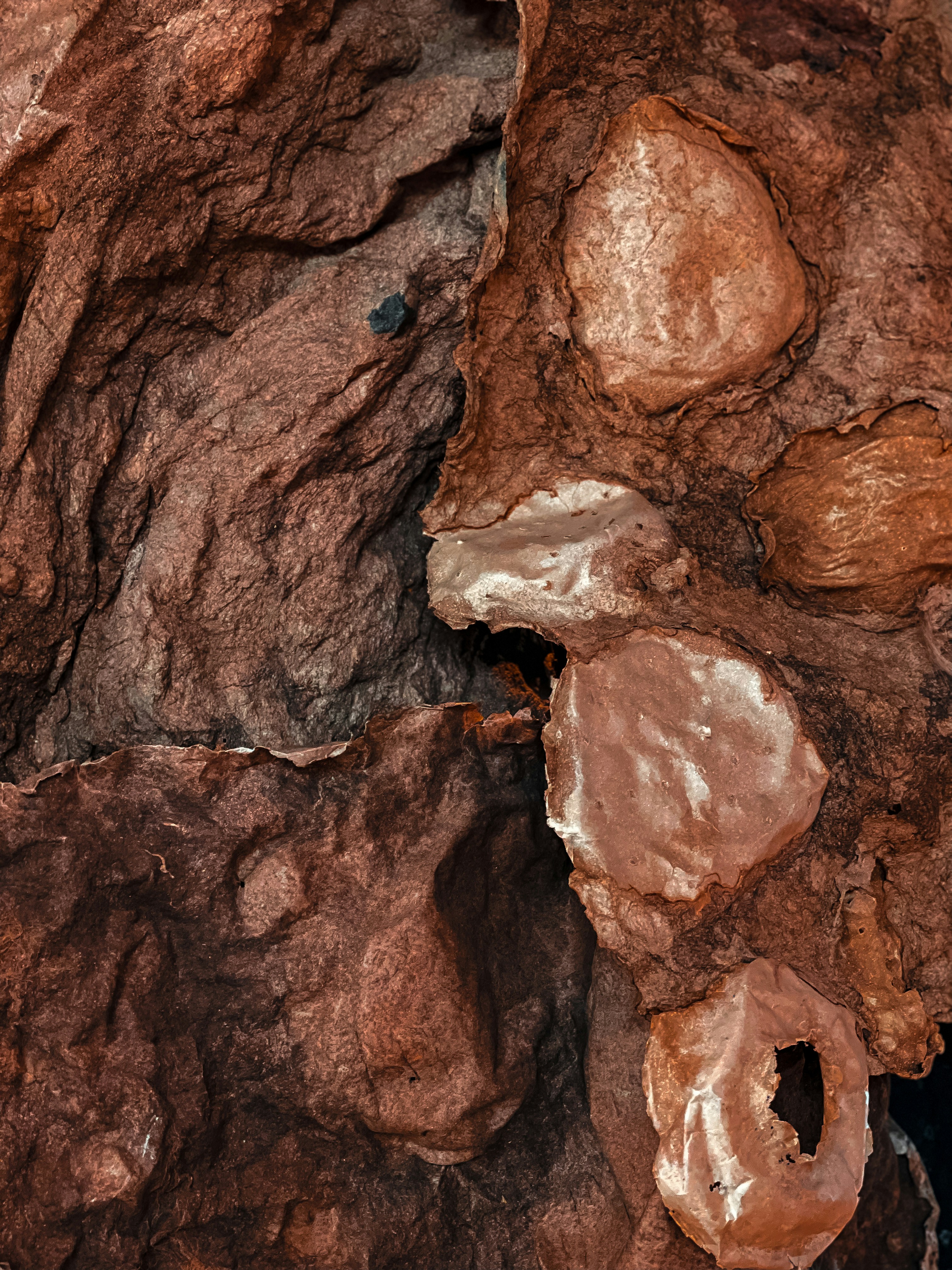 Rust Veins and Pocked Stone: a micro portrait of weathered rock