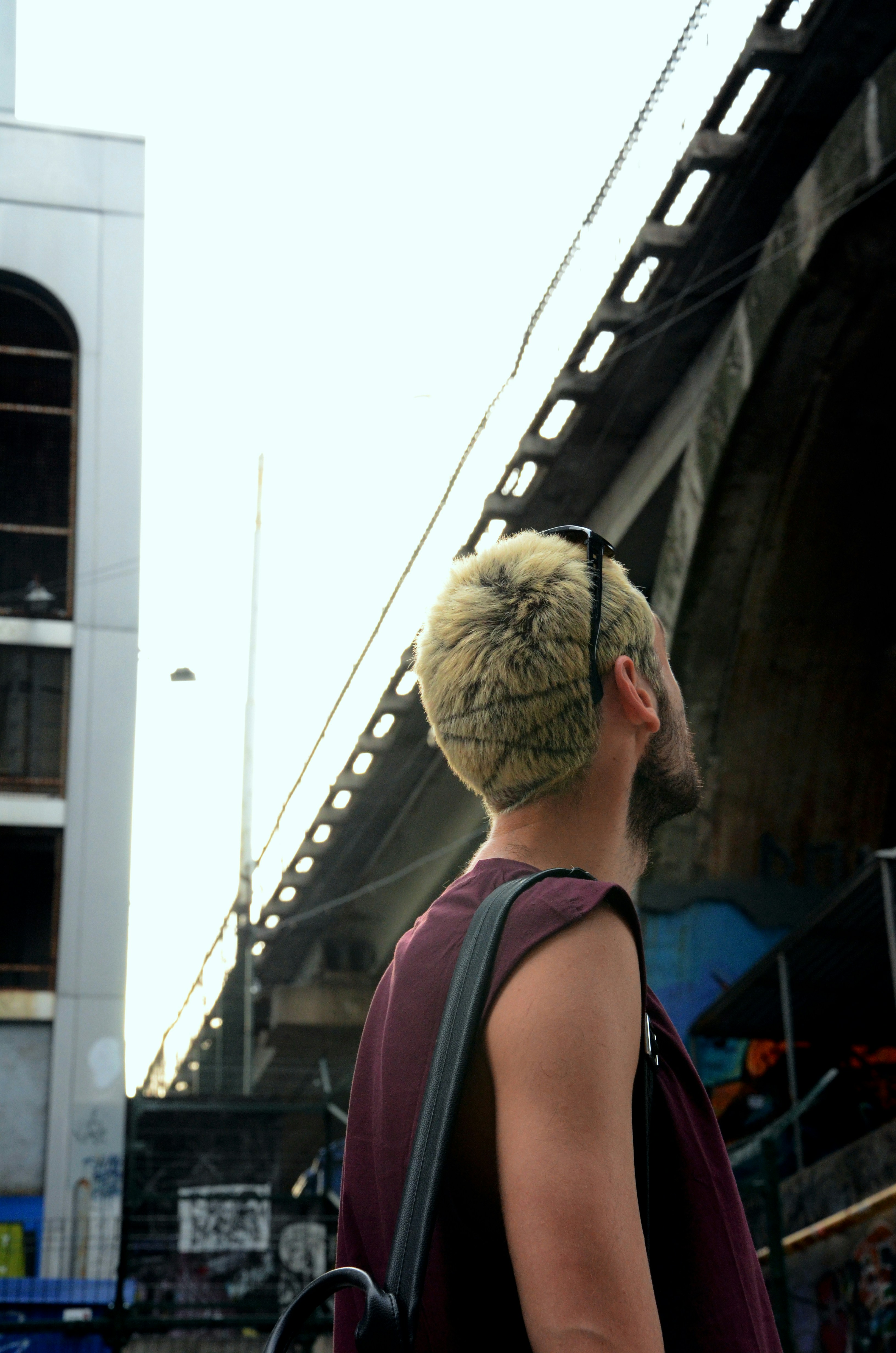 a man with a cat's head in his hair