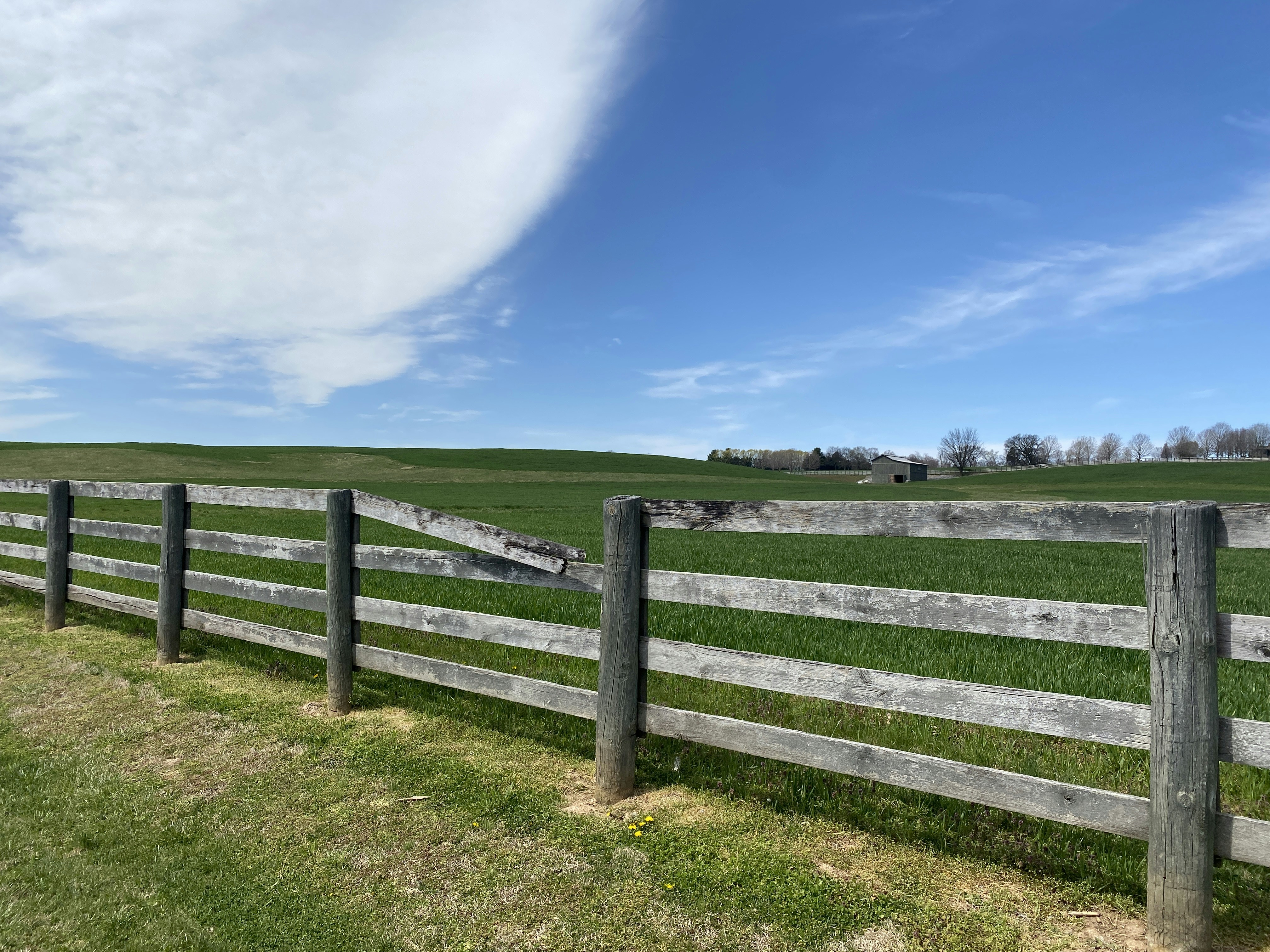 Wooden fence stretching across a lush green pasture under a vast blue sky with a sweeping white cloud.