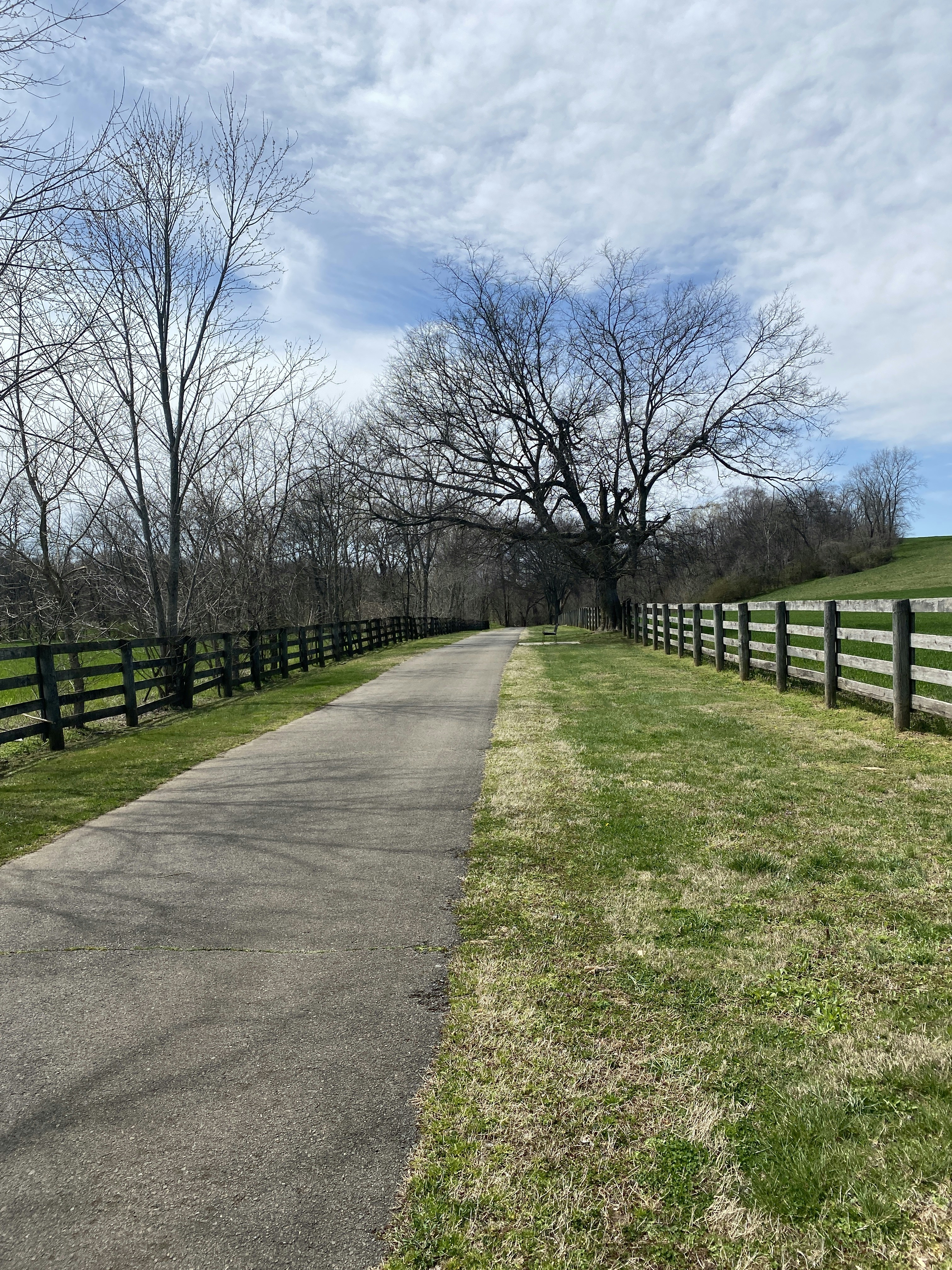 A paved path between two fences leading to a grassy field photo – Free ...
