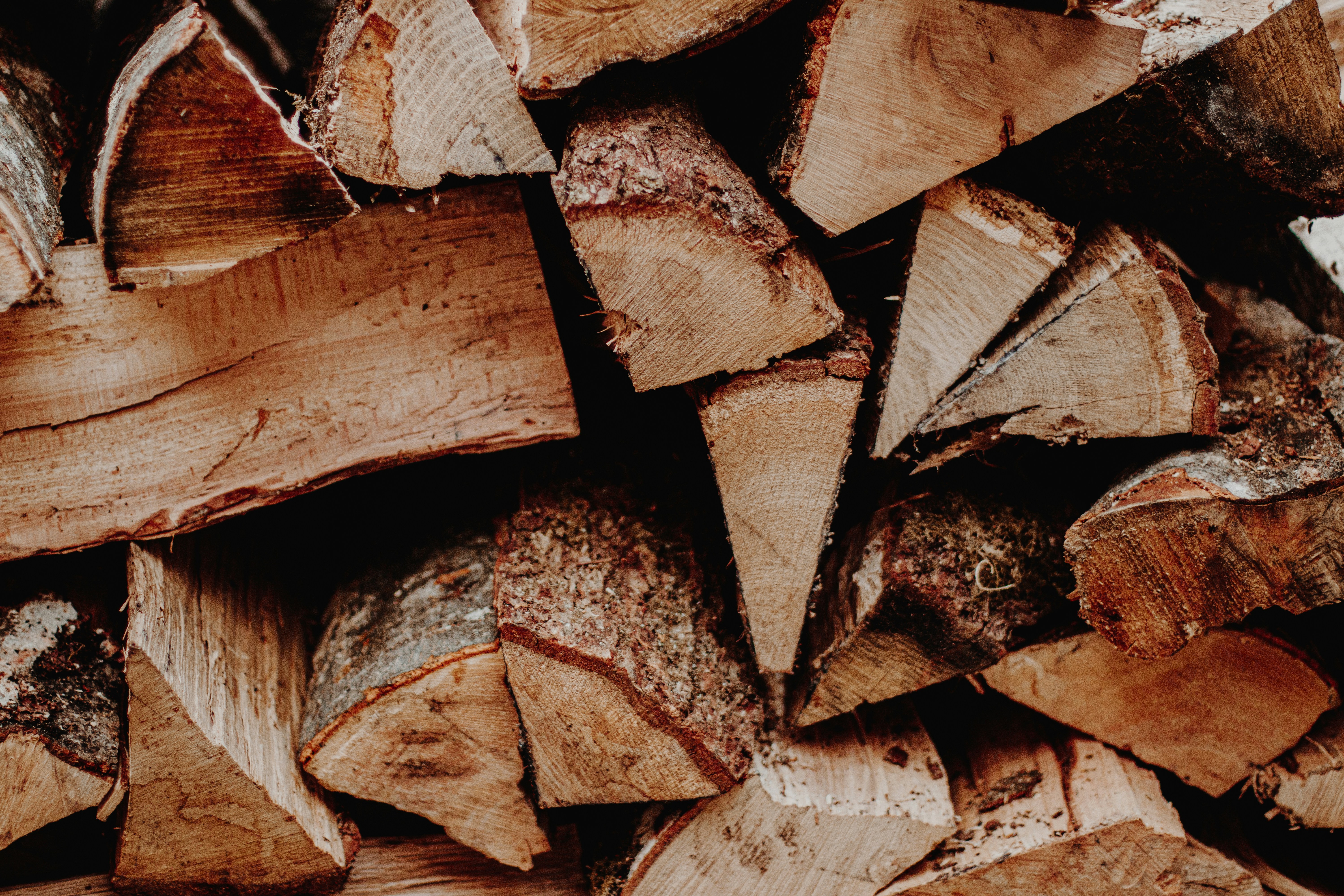 Wooden Log Pictures | Download Free Images on Unsplash