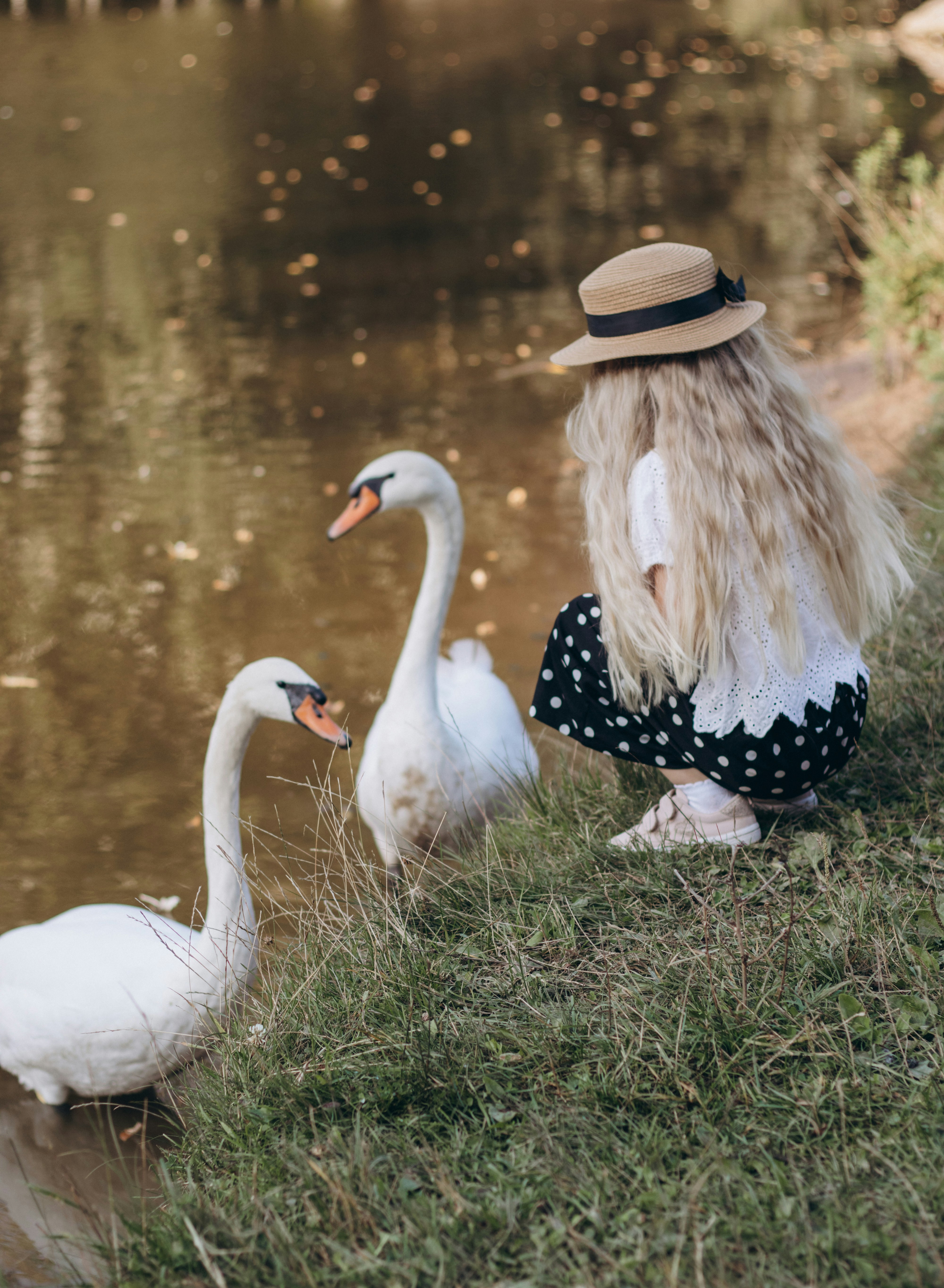 Whispers by the Pond: A Silky-Braided Moment with Two Swan Companions