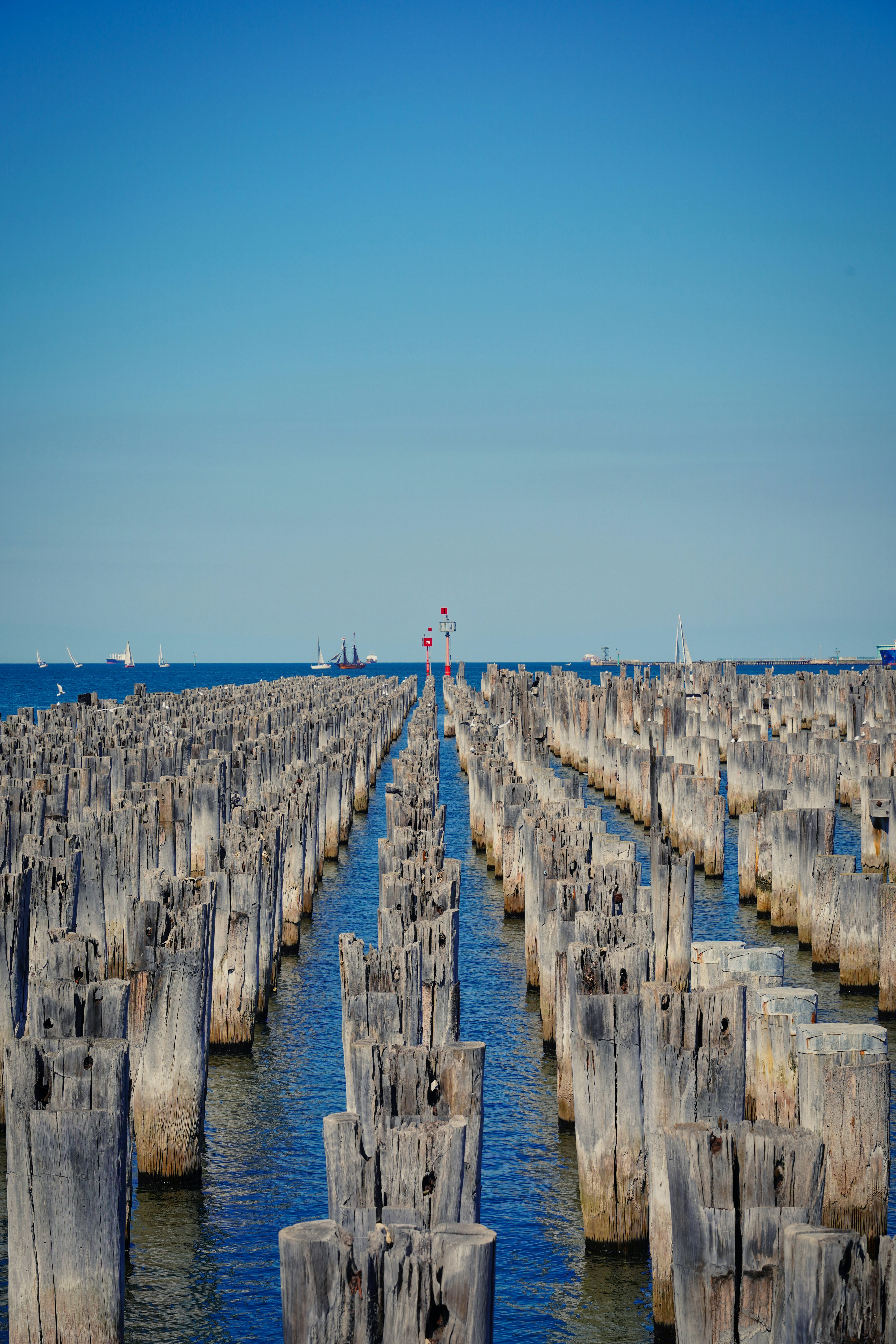 a large body of water surrounded by wooden posts