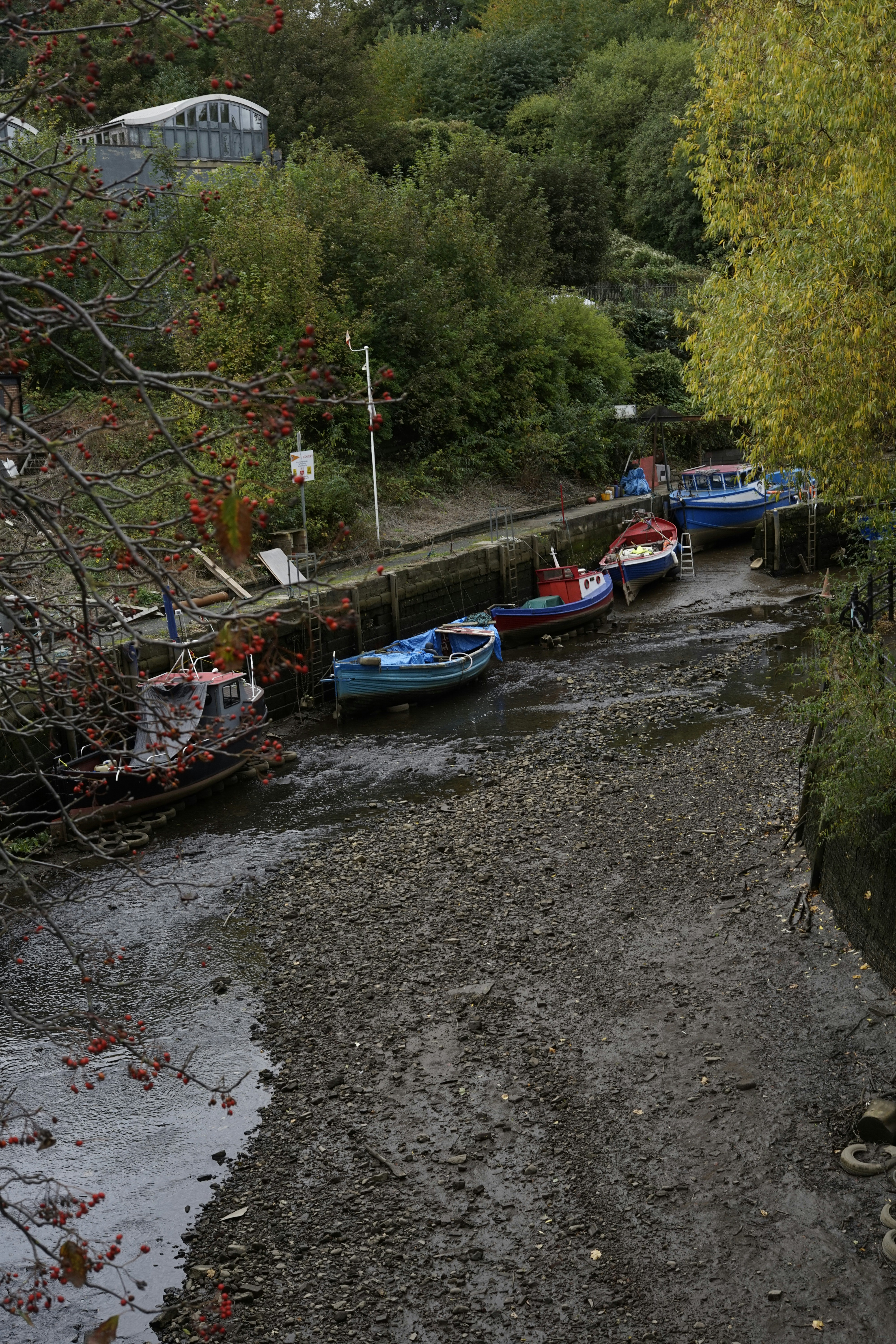 Colorful boats moored in a tranquil harbor surrounded by lush greenery and autumn foliage.