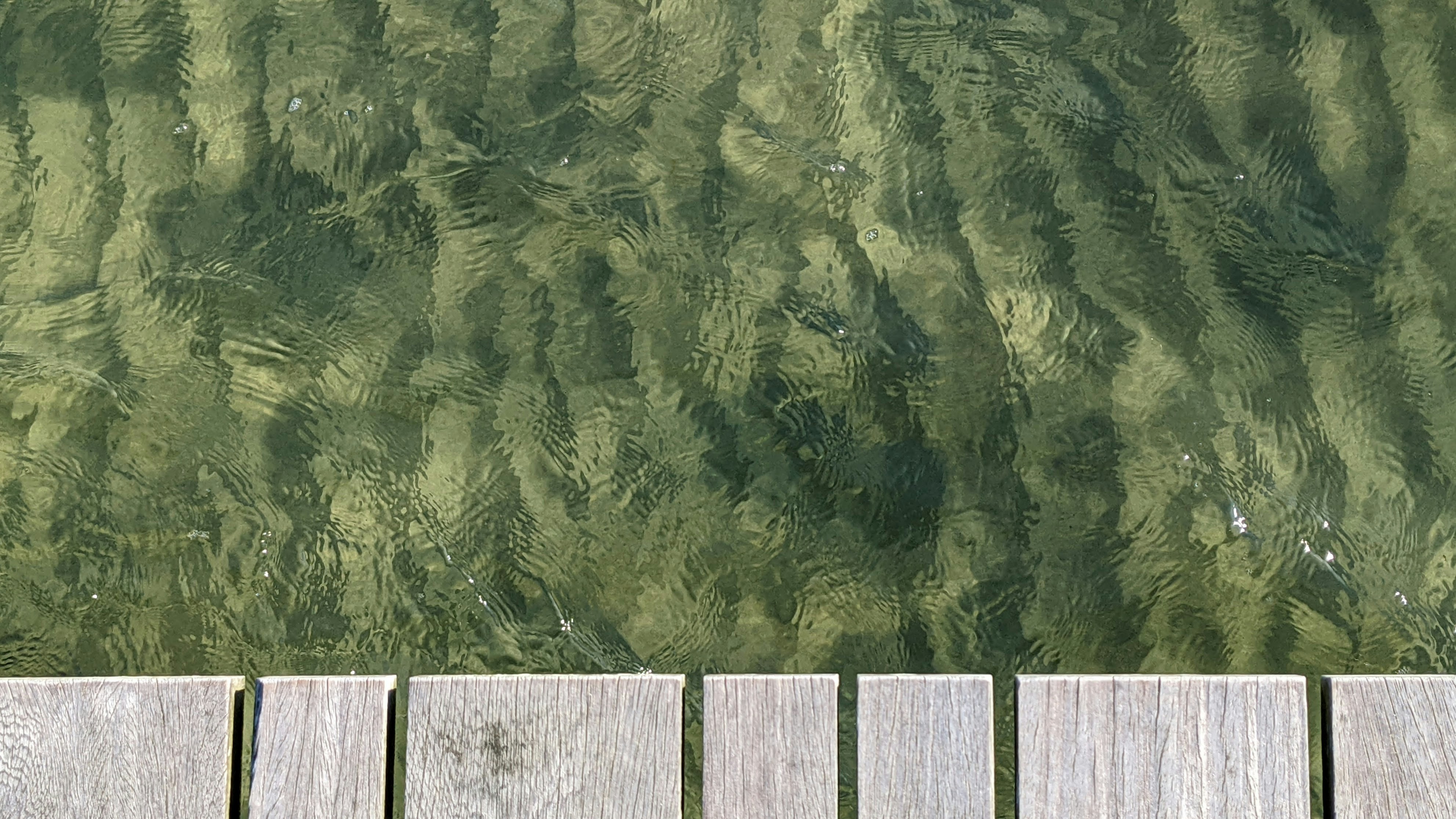 Wooden dock edge juxtaposed against the rippling green water below, highlighting the interplay of light and texture.
