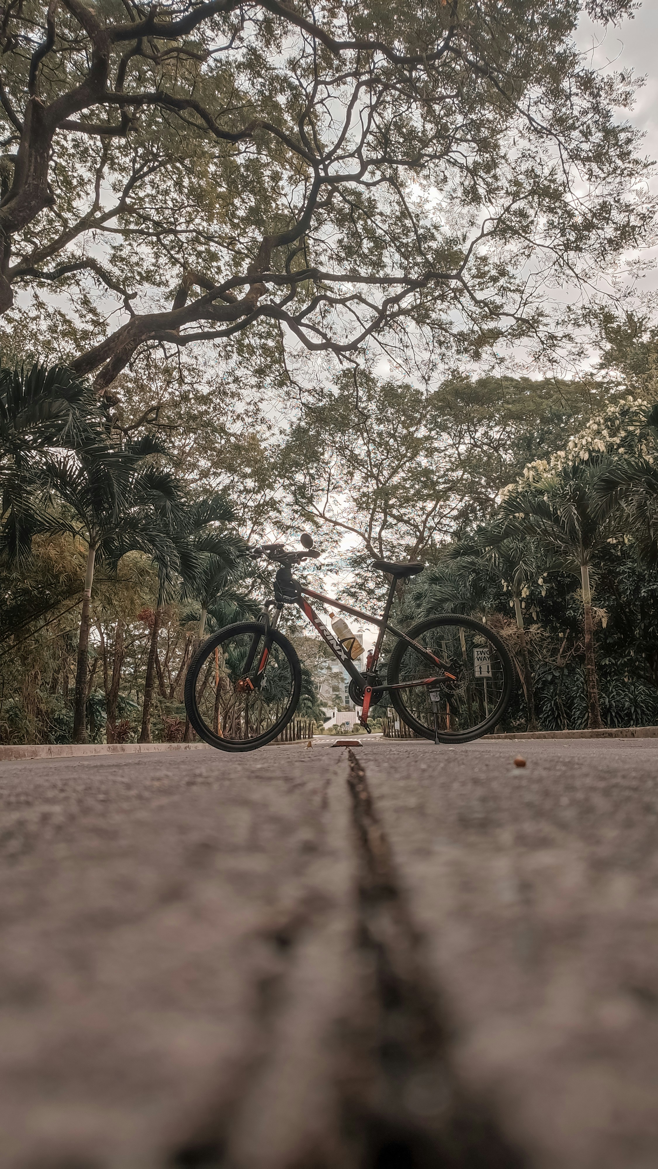 Two bikes parked on the side of the road photo – Free Bike Image on ...