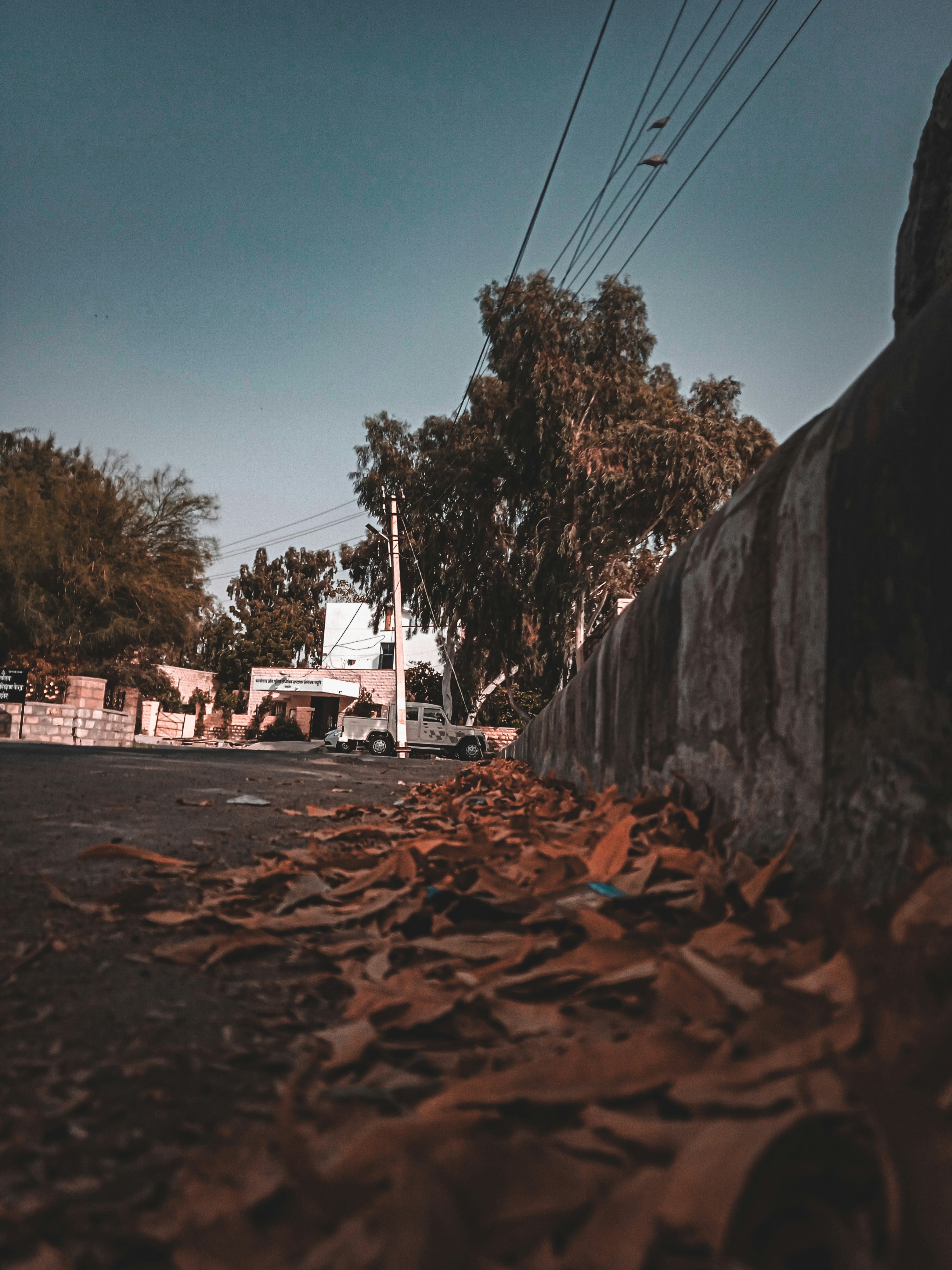 Dried leaves scattered along a roadside, framed by trees and a stone wall, capturing a serene moment in an urban setting.