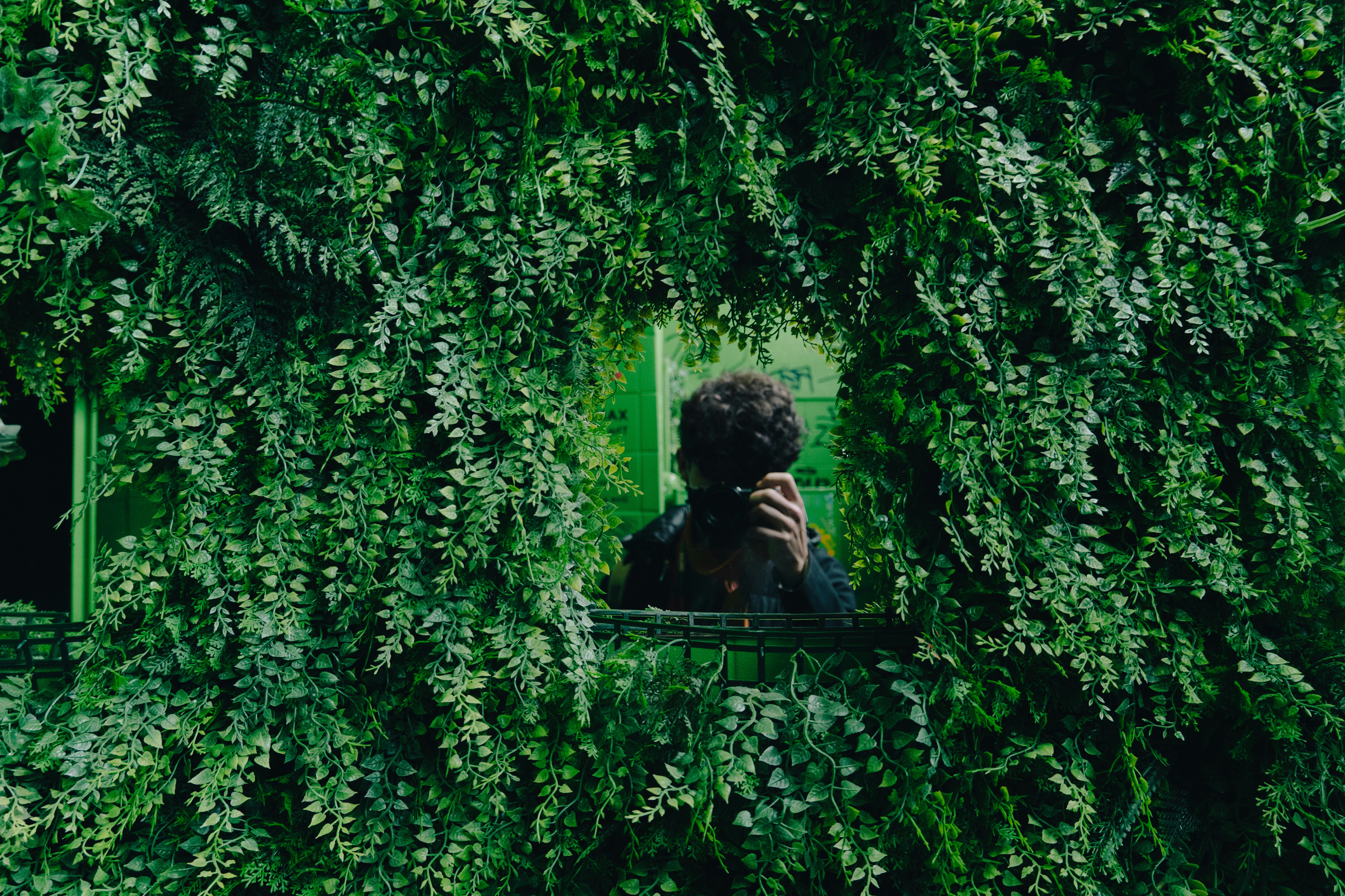 Portrait Behind a Verdant Window: A Hidden Photographer in a Leaf-Laced Frame
