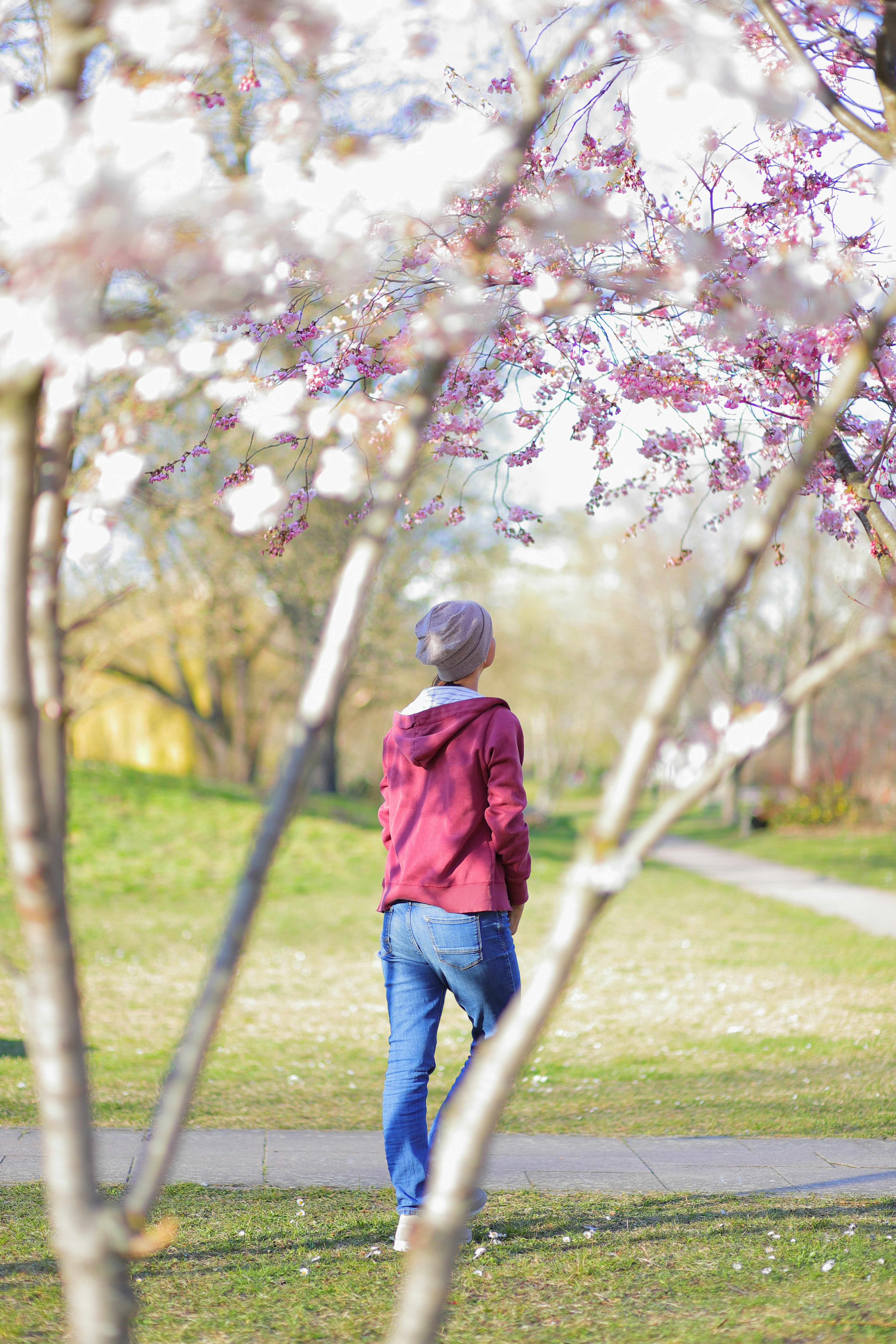 Under the Blooming Canopy: A Quiet Park Portrait