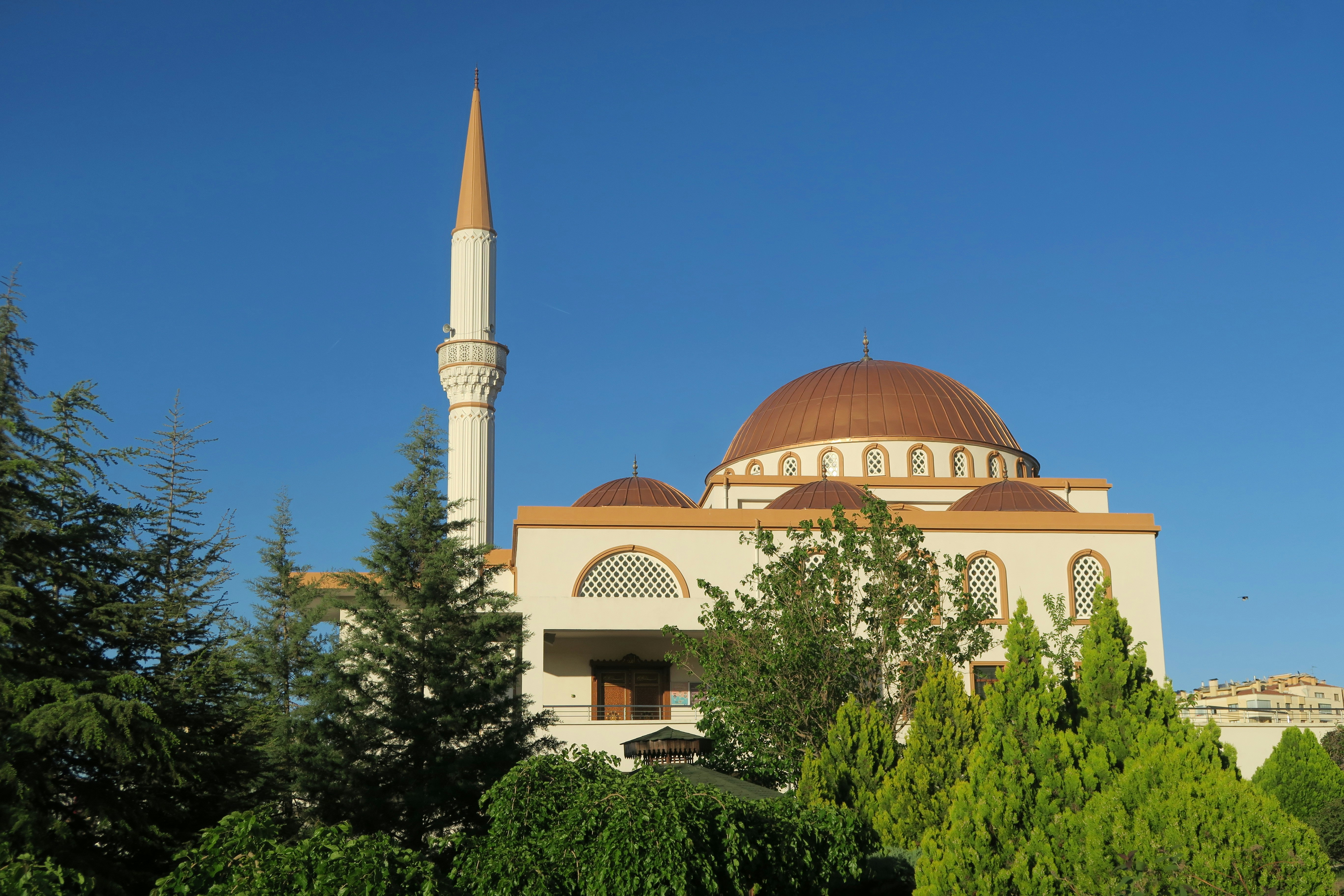 Dome Meets Sky: A Mosque Framed by Cedar and Light
