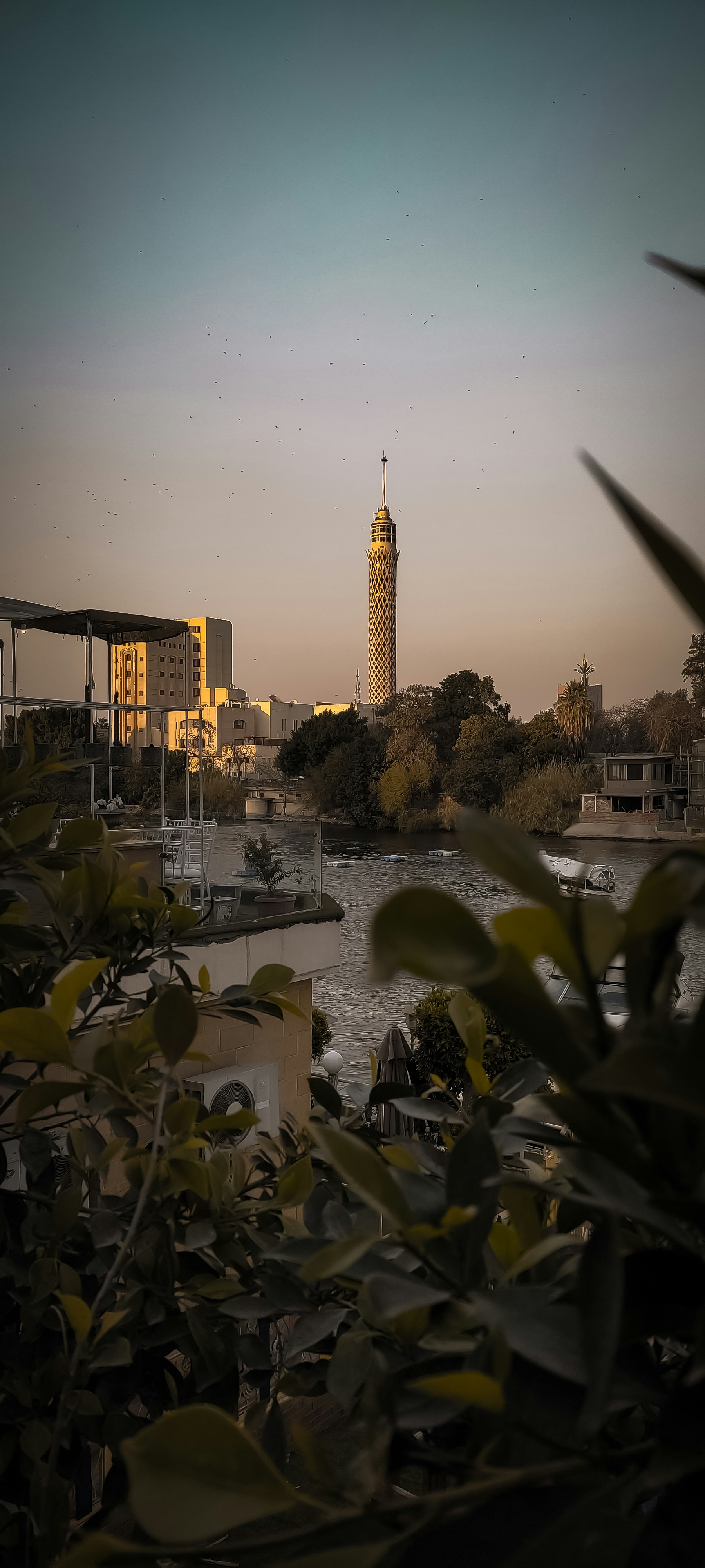 Golden-hour cityscape with a slender lattice tower rising above the river, framed by foreground foliage.